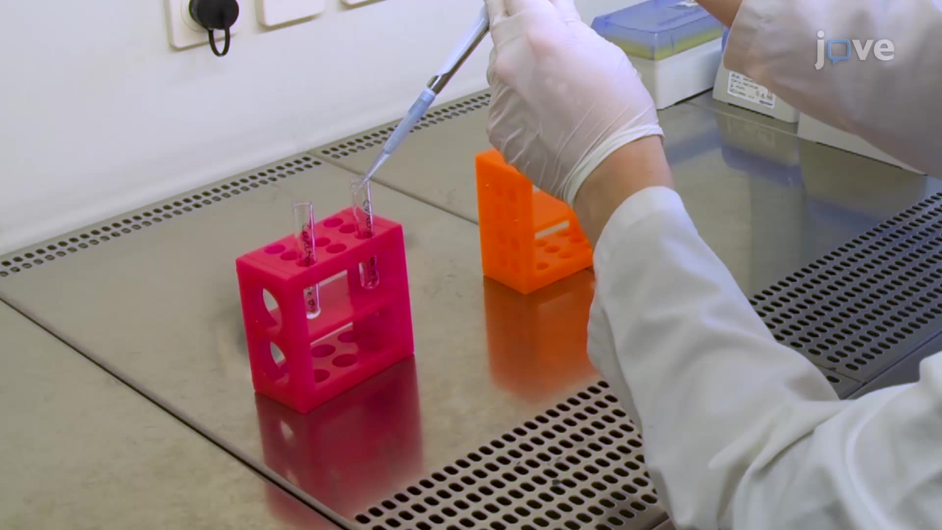 Video: Culturing Fluorescent Excitatory Neurons from a Transgenic Mouse ...