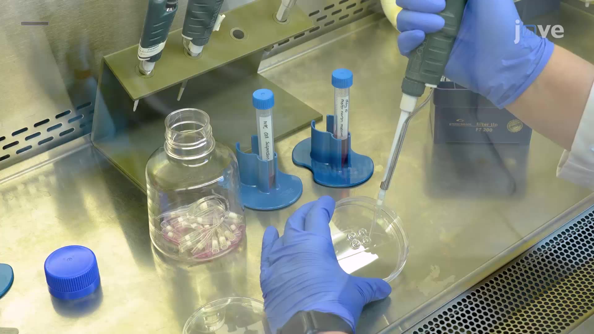 Generating Neuromuscular Junctions Using a Microfluidic Device