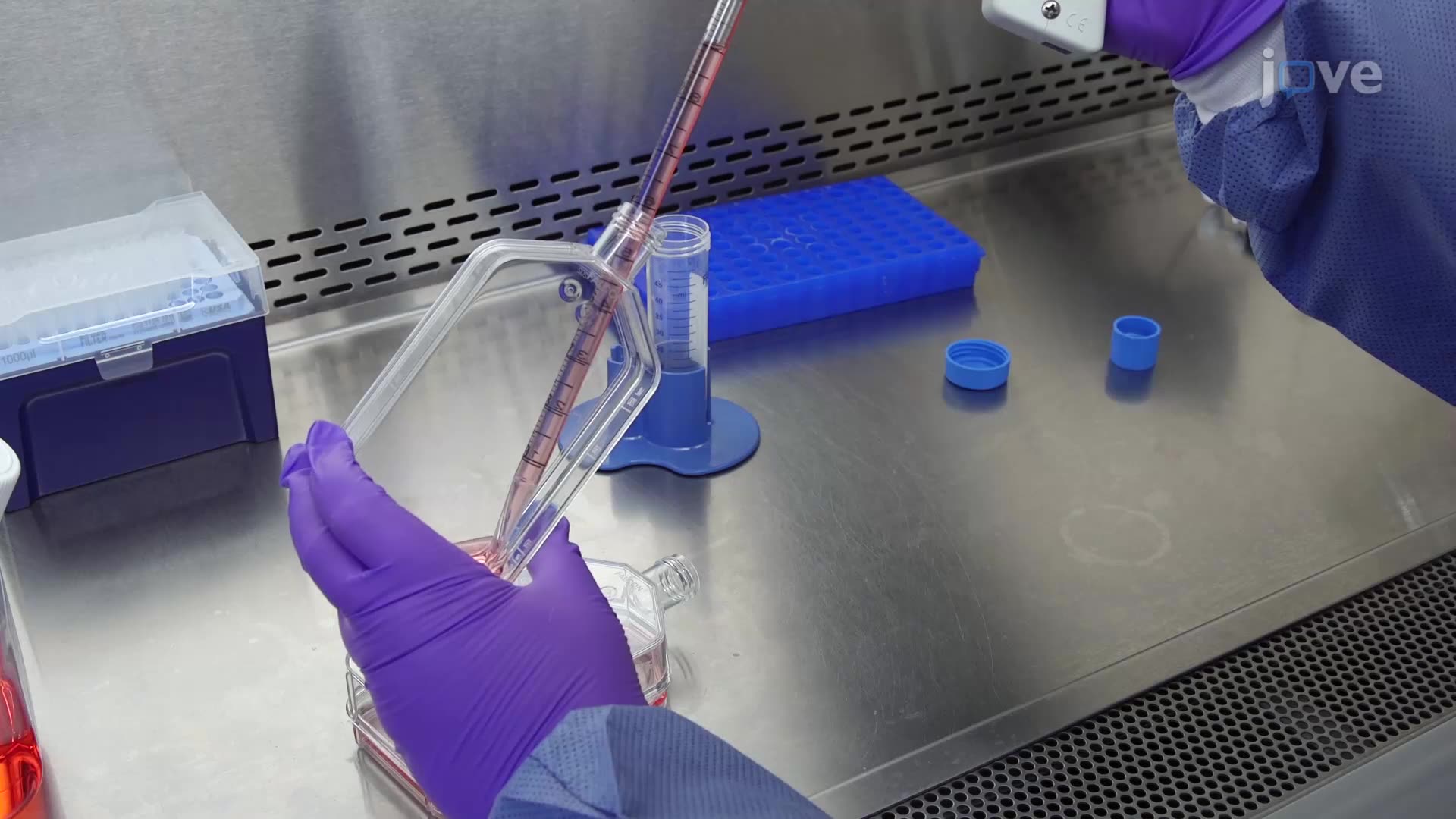 Video: A Technique to Generate Brain Organoids from Human Embryonic Stem Cells - Concept