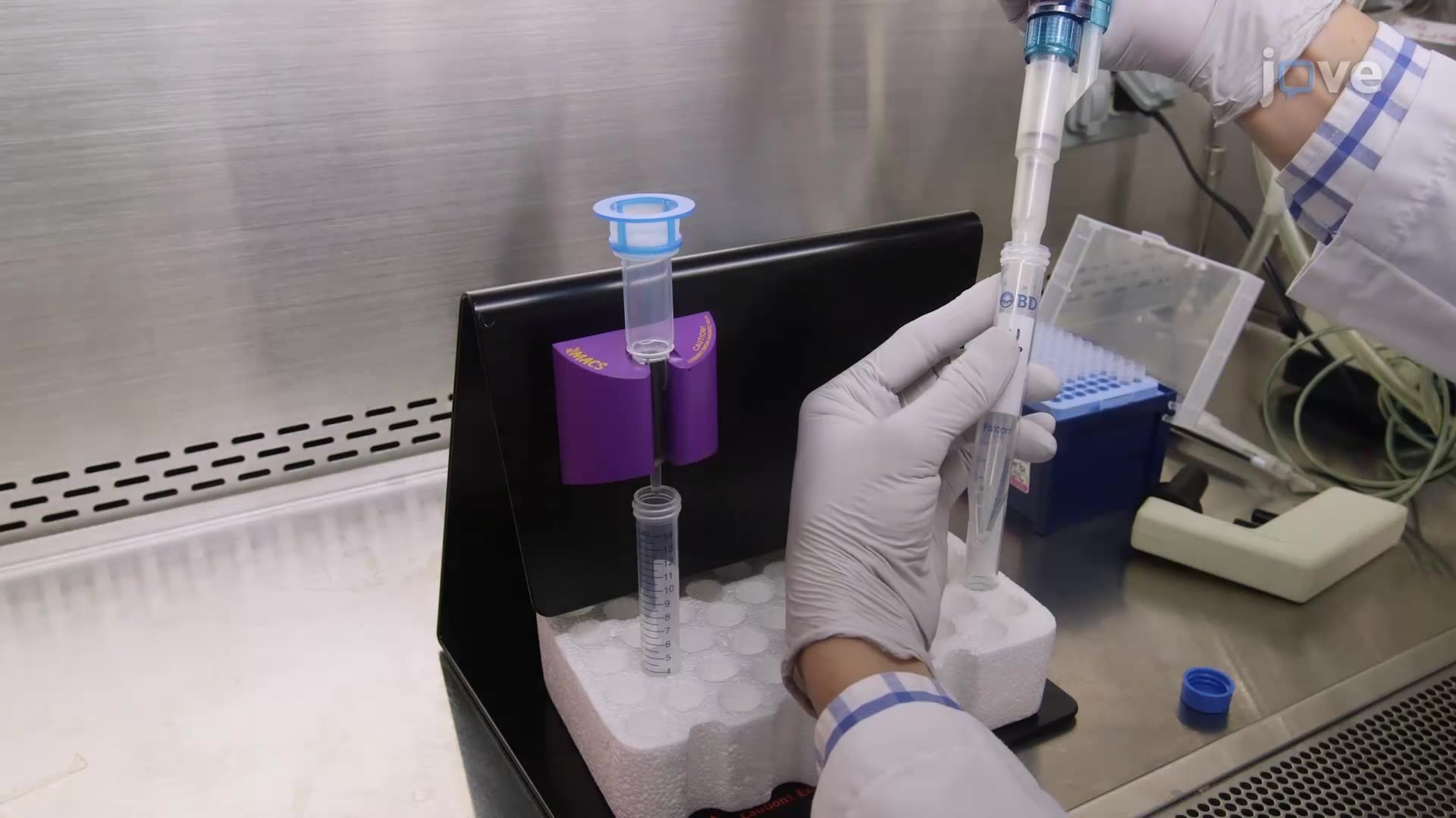 Video: Isolating Murine Primary Oligodendrocytes Using Immunomagnetic ...