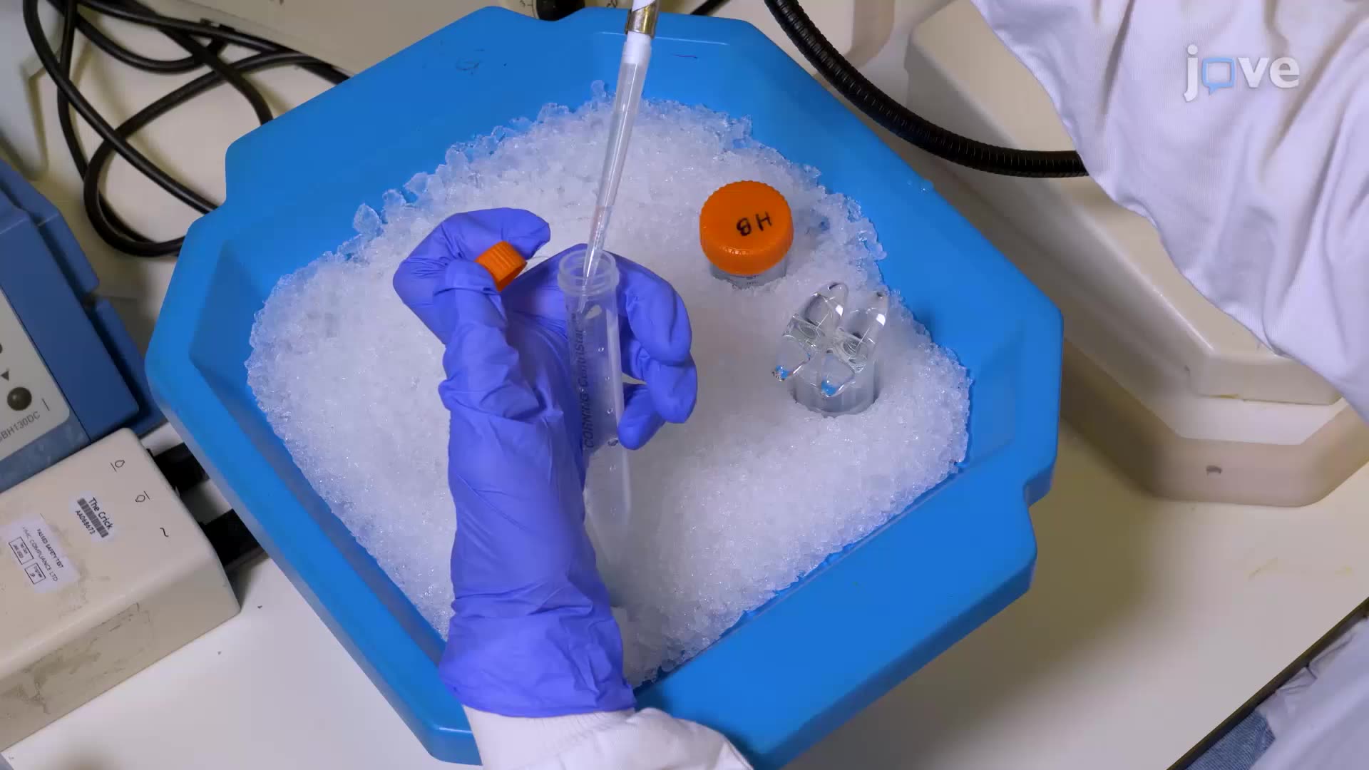 Video: A Technique to Isolate Nuclei from Non-neuronal Cells in the ...