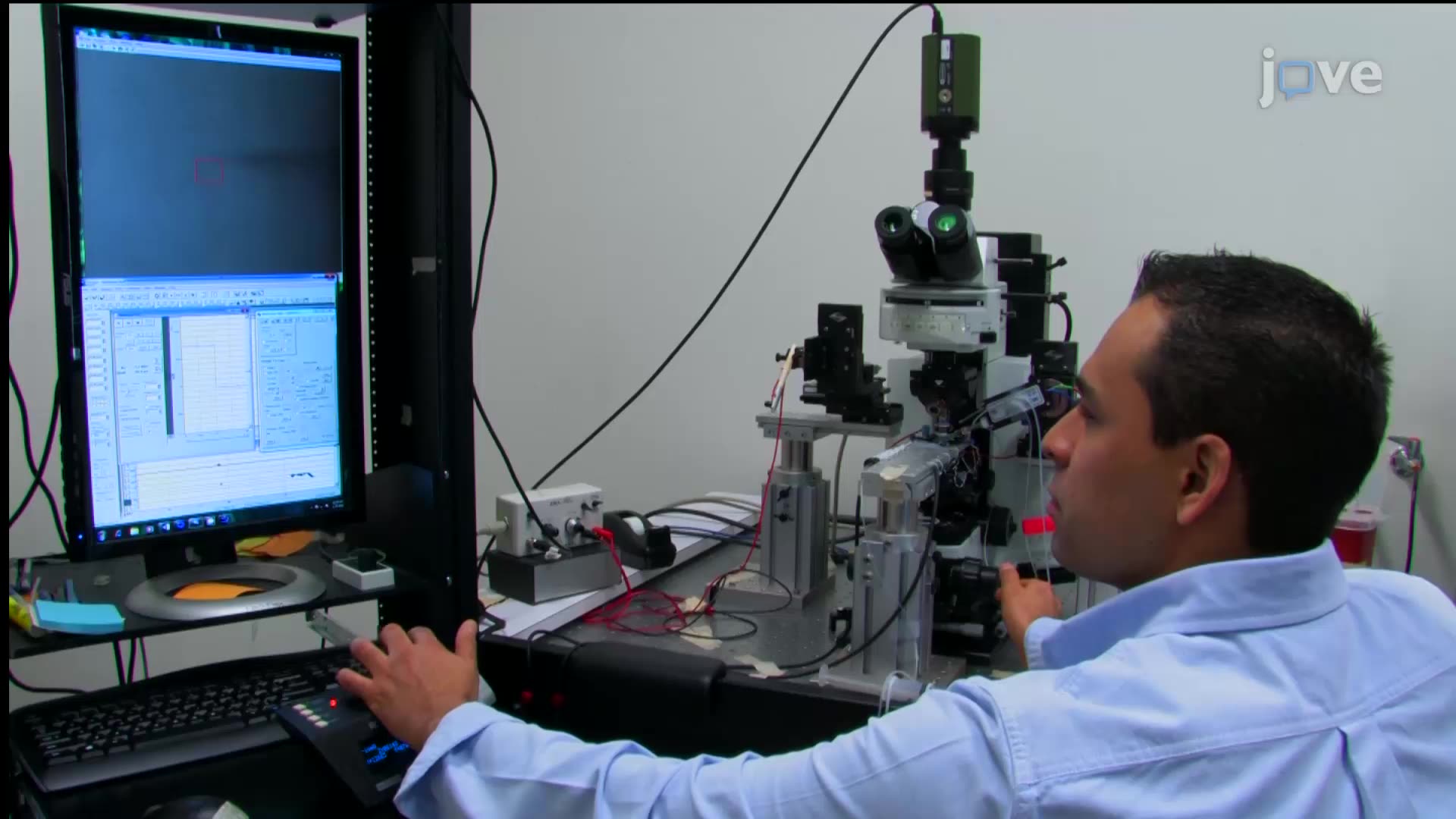 ビデオ: パッチクランプ法による全細胞構成の確立 - 実験