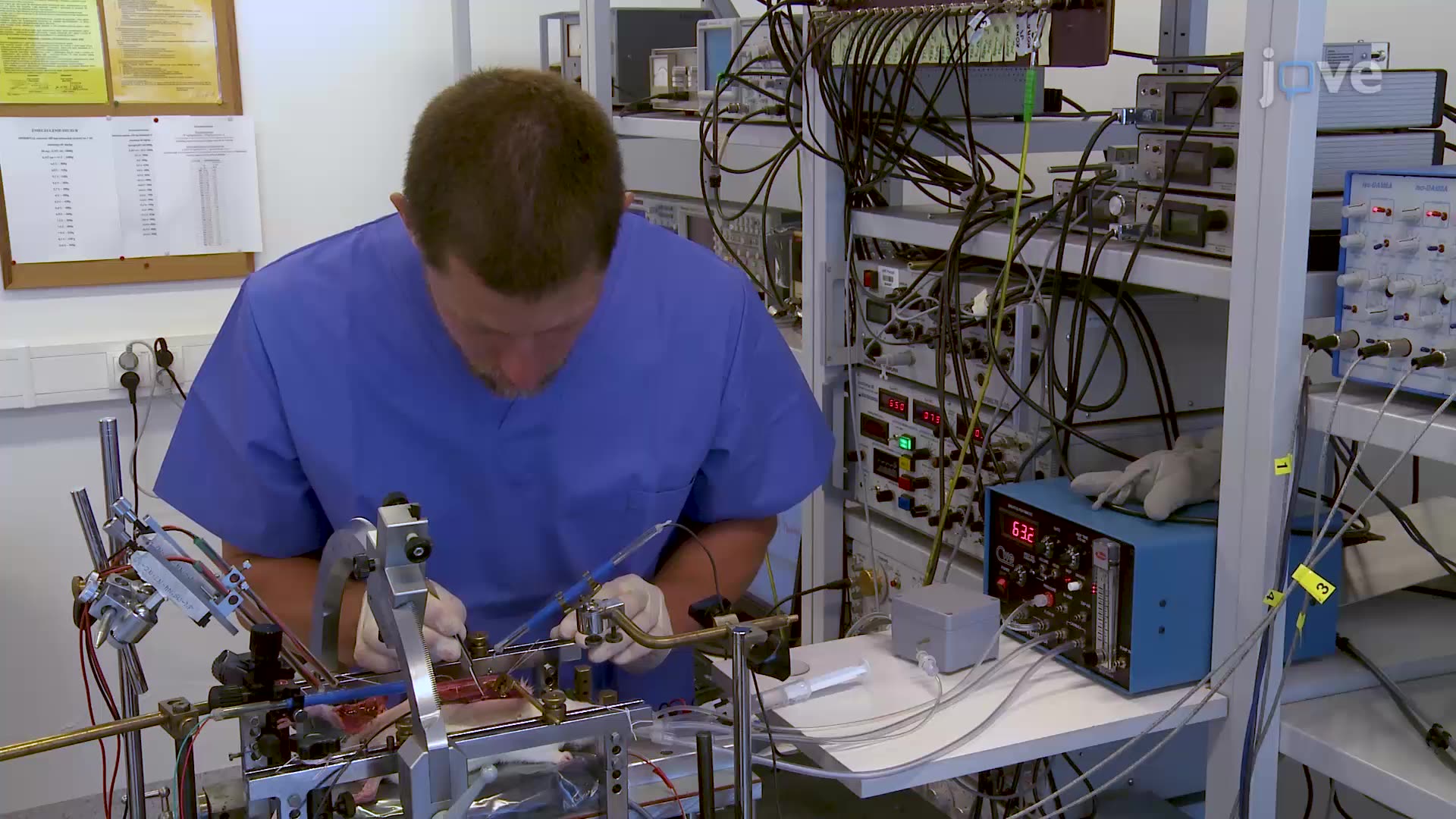 Video: Trans-Spinal Direct Current Stimulation of a Rat's Spinal ...