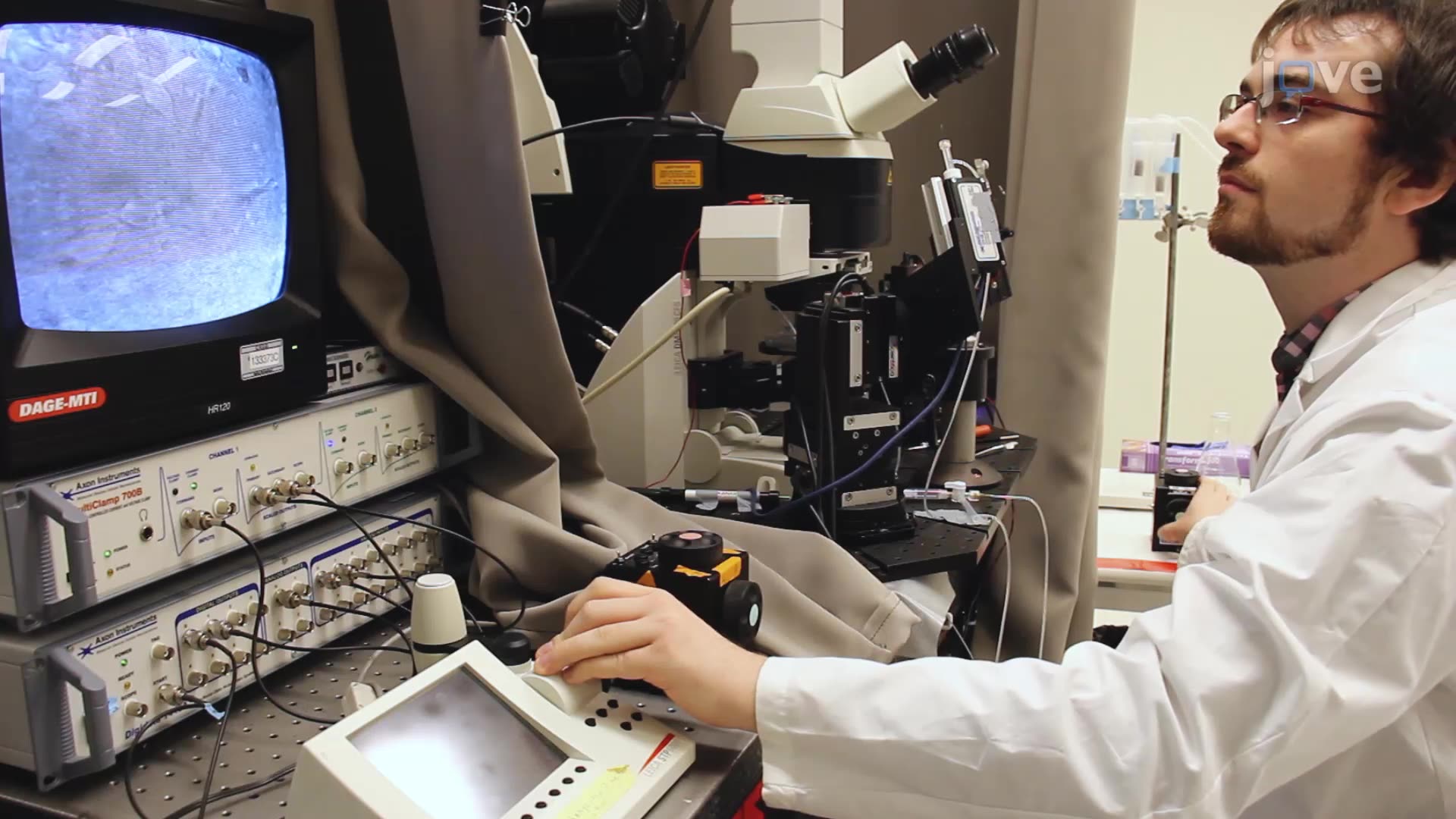 Video: Establishing a Whole-Cell Configuration for Two-Photon Calcium ...