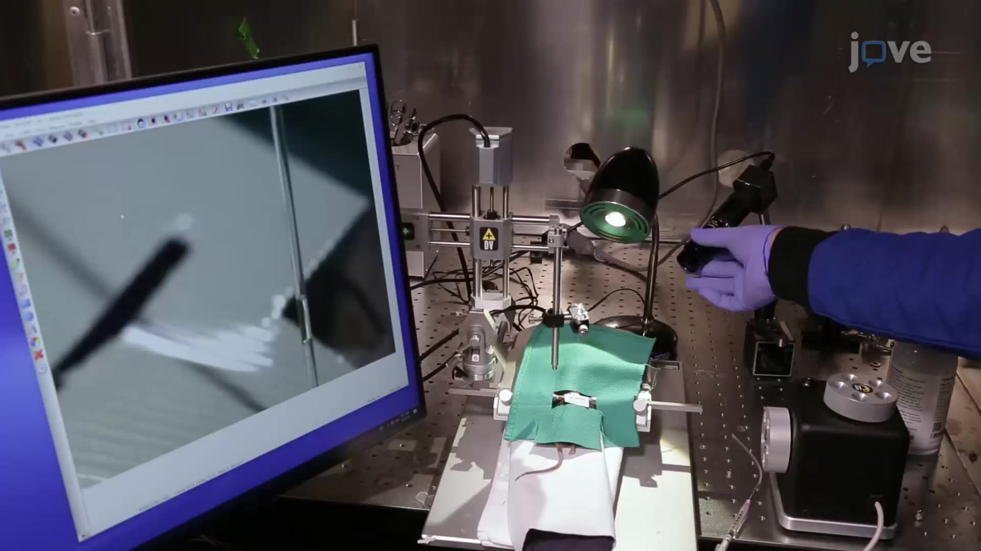 Video: Injectable Mesh Electronics for Stable Single-Neuron Recordings ...