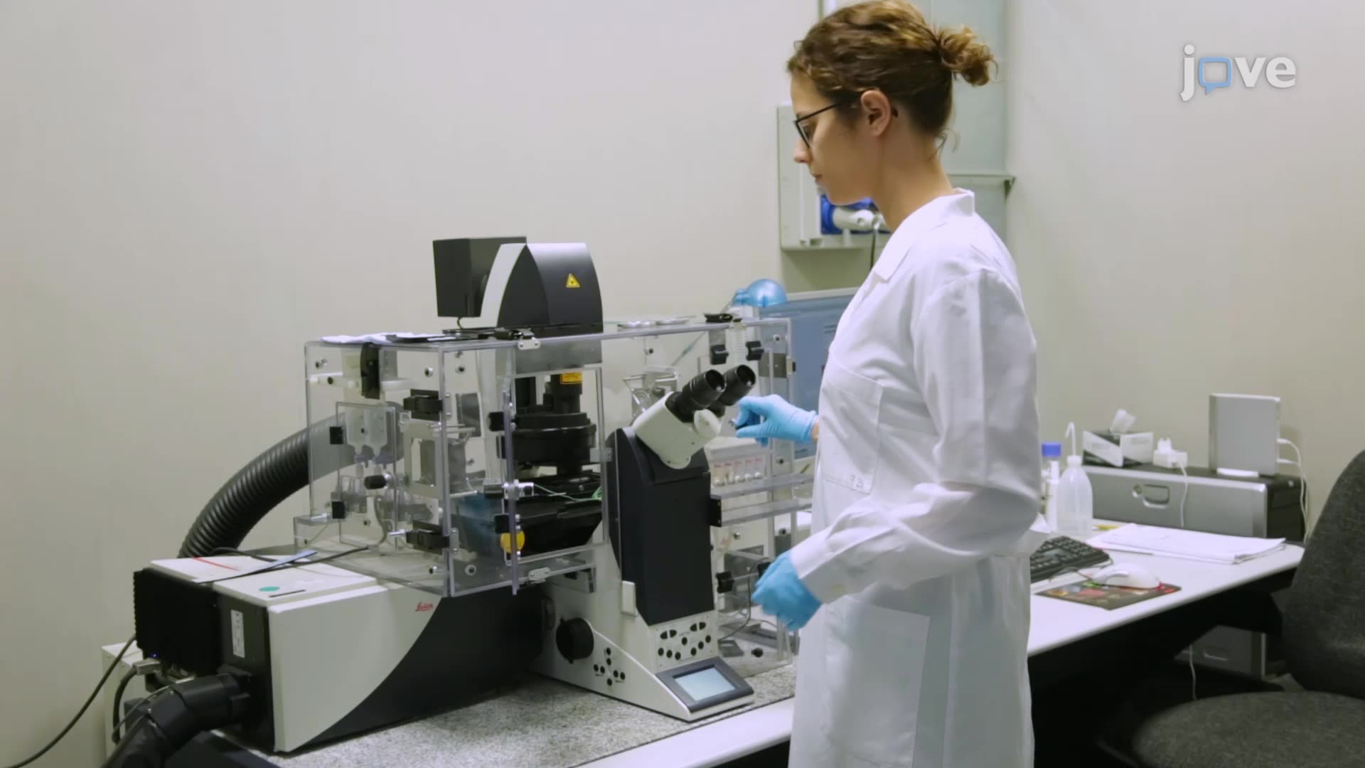 Video: A Non-invasive Approach to Study the Electrophysiology of Motor ...