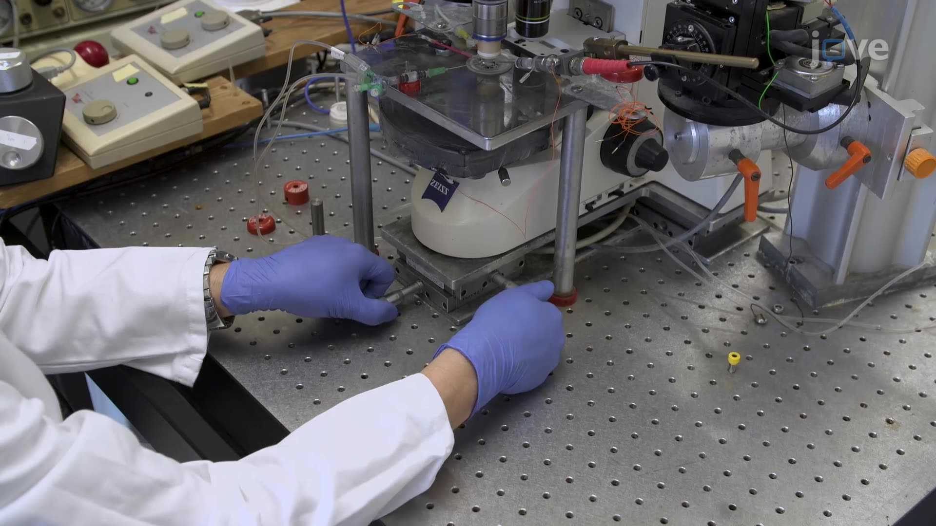 Video: Analyzing the Glutamate Release and Clearance at a Single Neuron ...