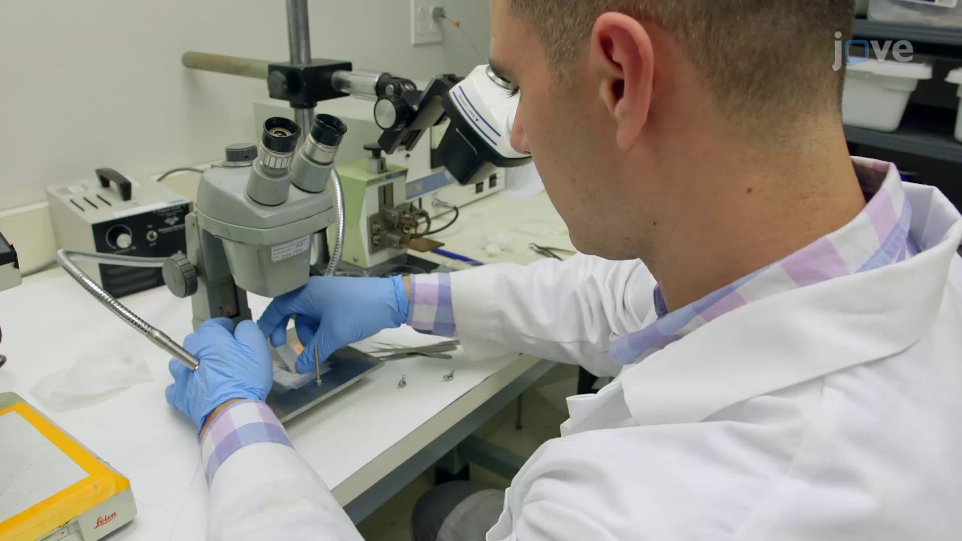 Video: Fabrication of Flat-Interface Nerve Electrodes for Recording ...