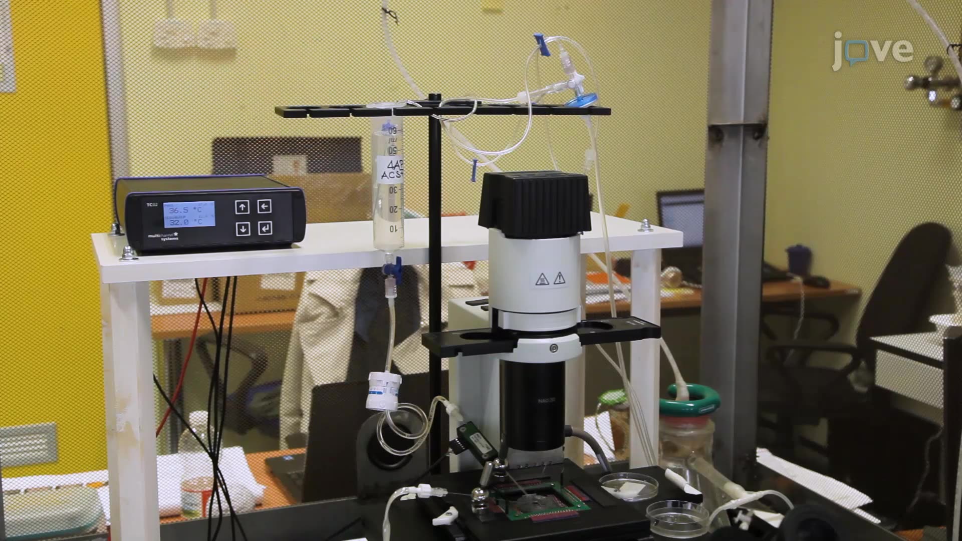 Video: Monitoring Seizure-Induced Neural Electrical Activity in Brain ...