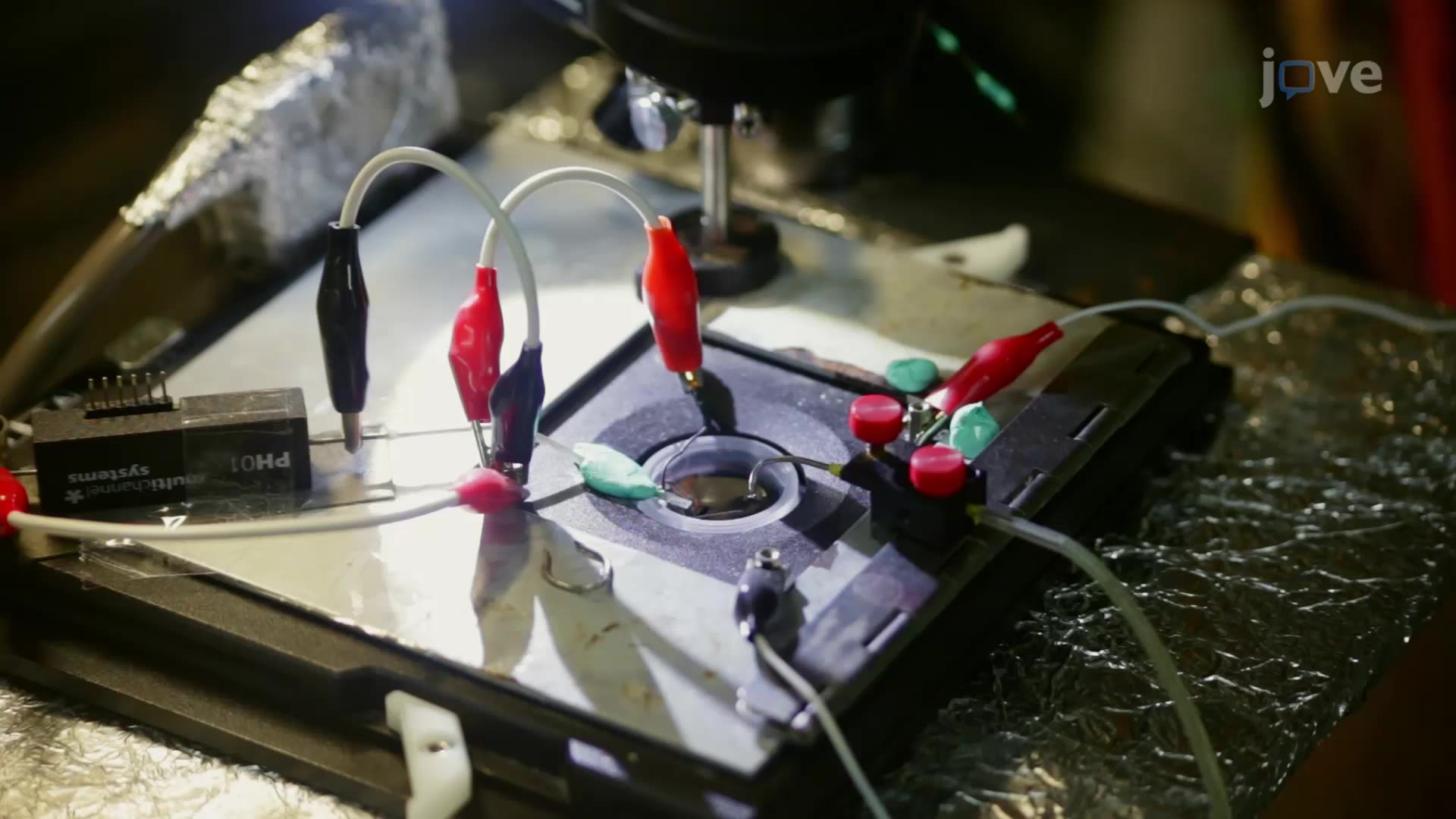Video Monitoring The Brain Cortex With A Multi Electrode Array In