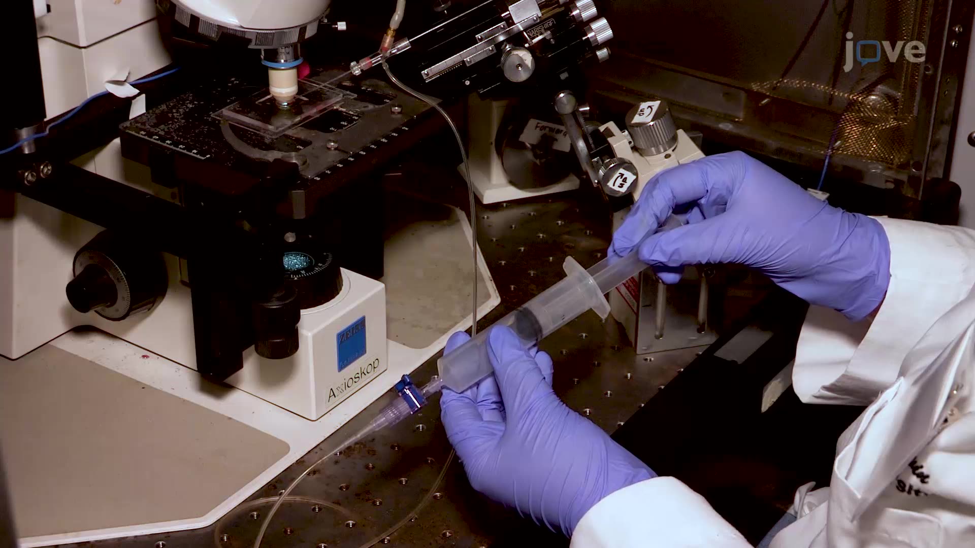 Video: Microelectrode-Mediated FM Dye Loading and Unloading in ...