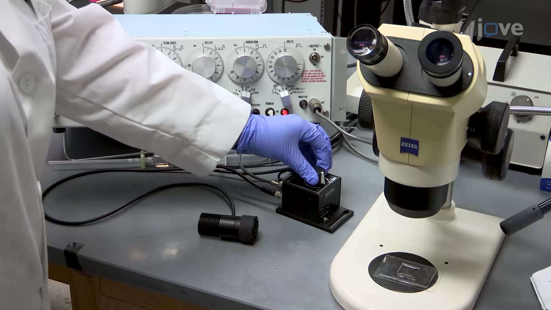 Video: Analyzing Synaptic Vesicle Recycling and Fluorescent Dye Uptake ...