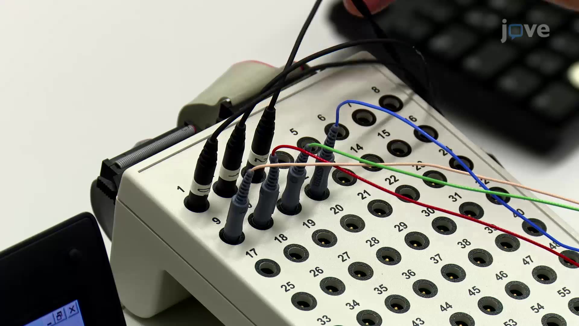 Video: Recording Cortical and Subcortical Neuronal Activity Using ...