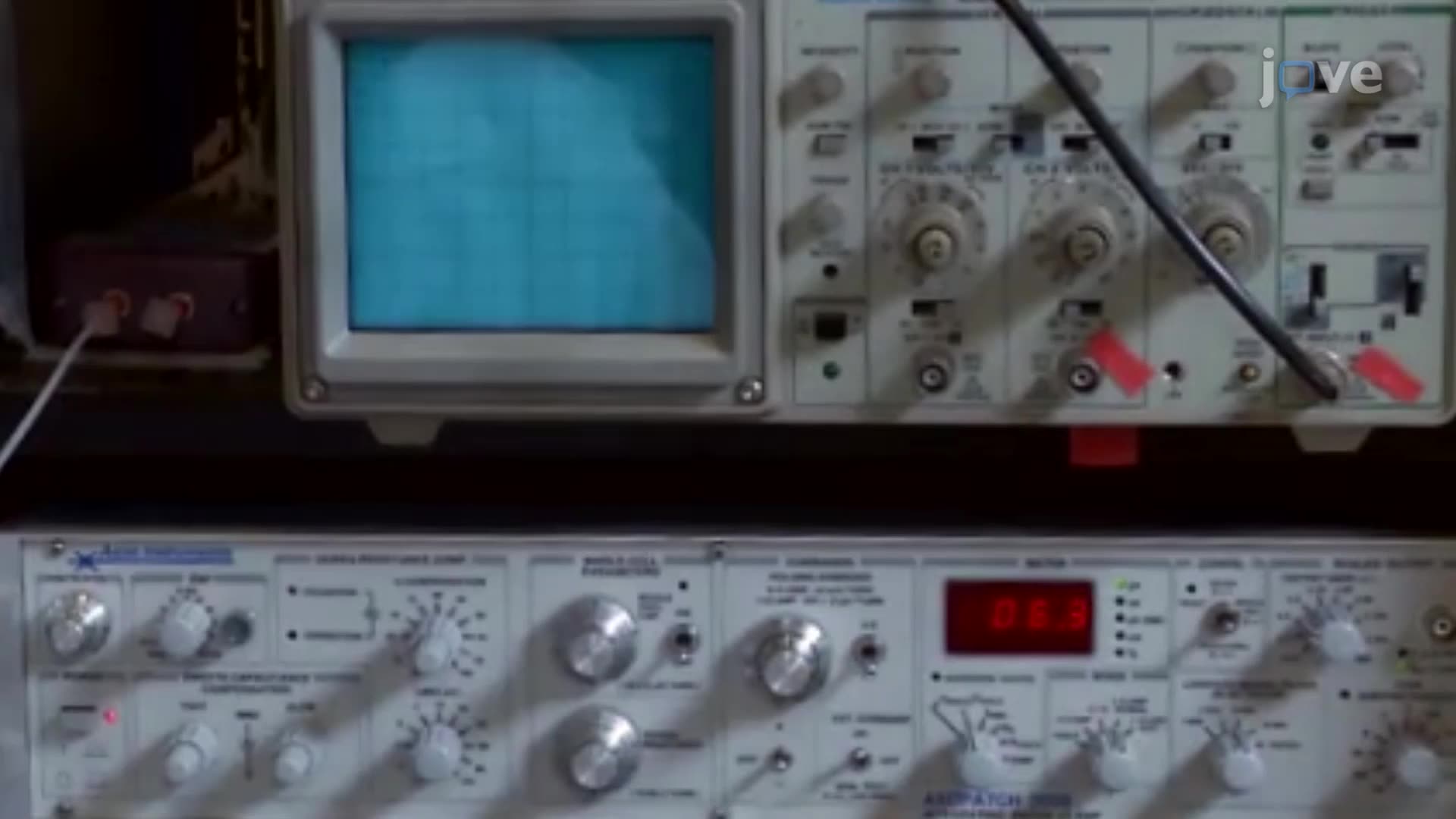 Video: Whole-Cell Patch Clamp Recordings on Intact Rat Dorsal Root ...