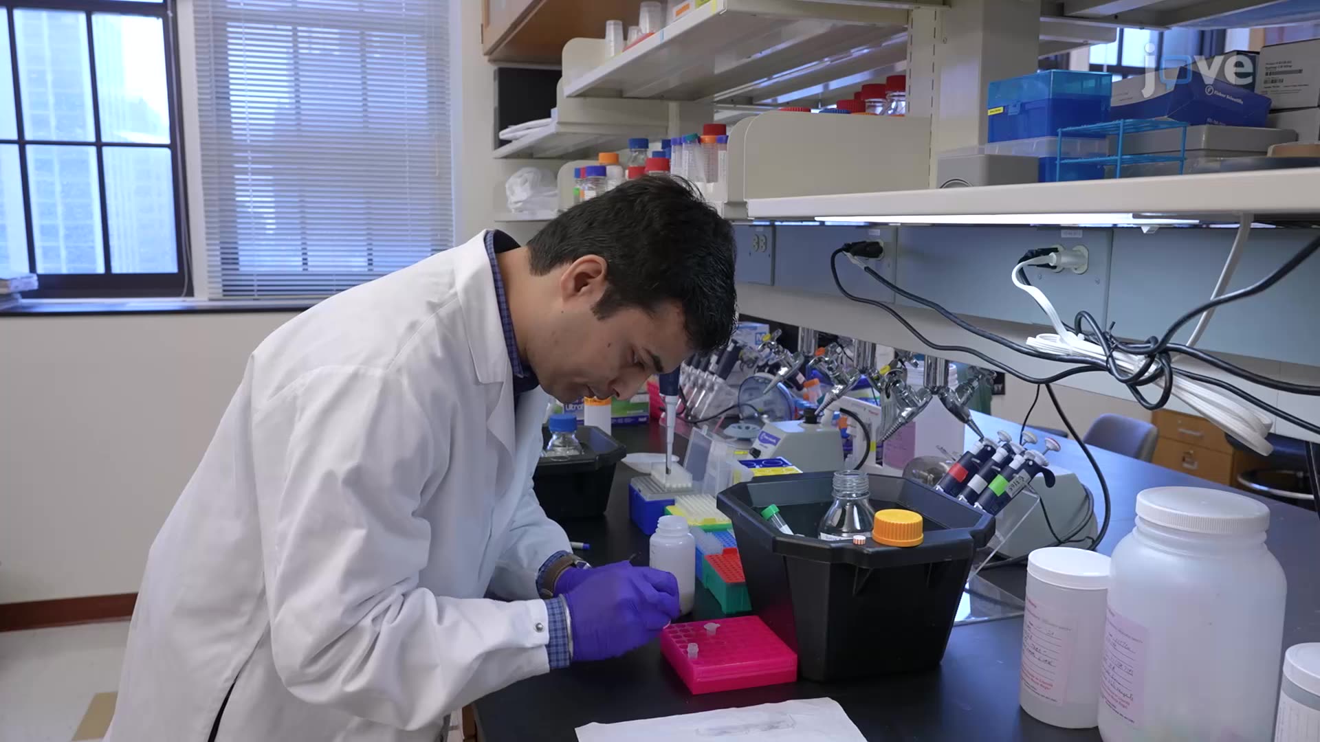 Video: Isolation of Amyloid Fibrils from Brain Tissue Extract - Experiment