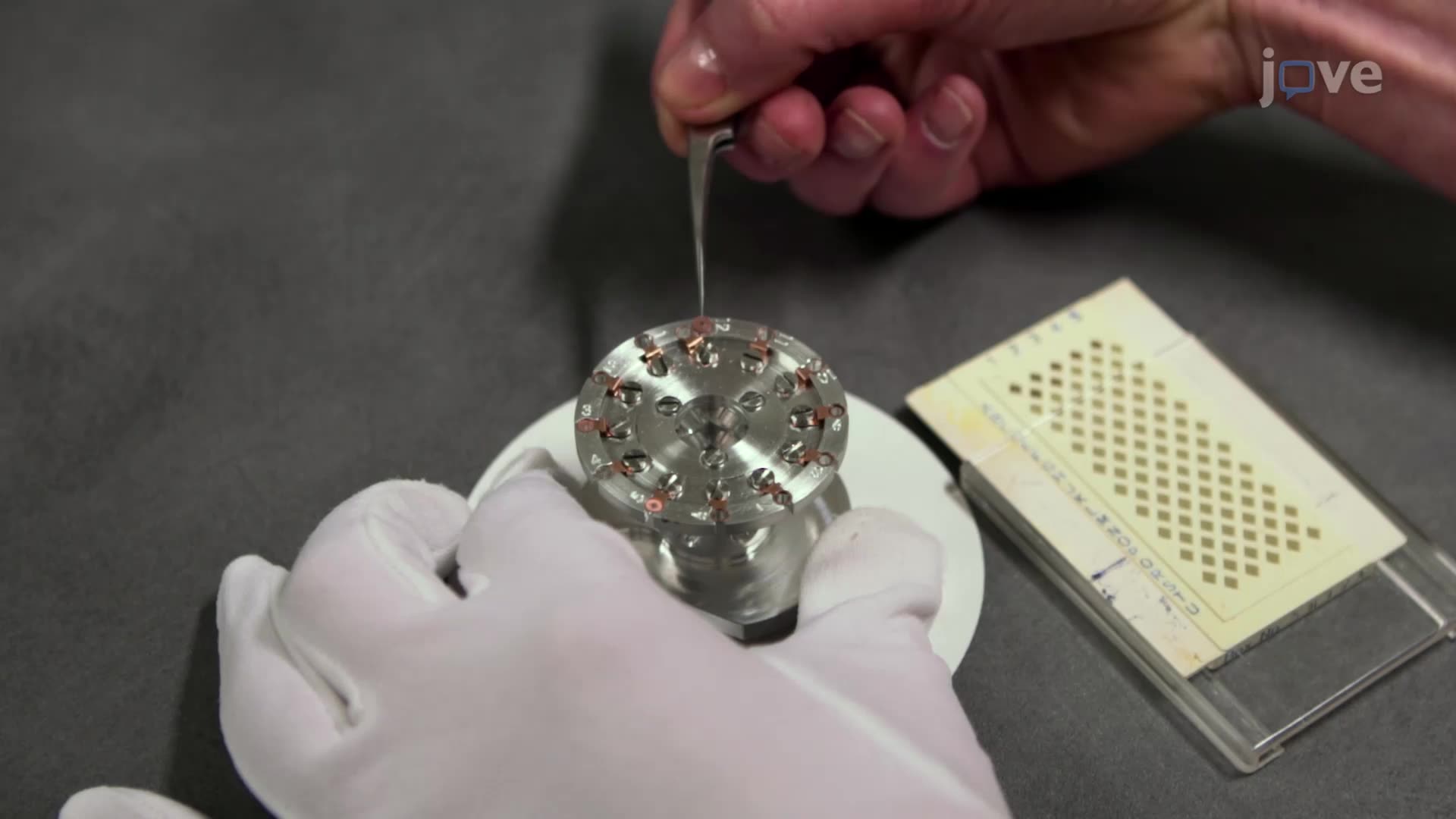 Video: Investigating a Zebrafish Larval Brain Injury Using Large-Scale ...