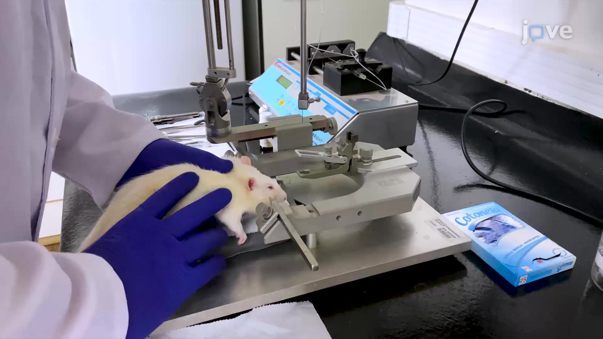 Video: Generating the 6-hydroxydopamine Rat Model of Parkinson's ...