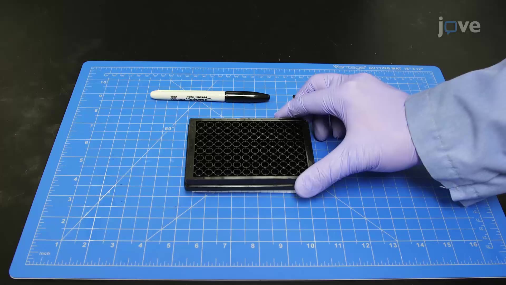 Video: An In Vitro Model of Stretch Injury in Human Induced Pluripotent ...