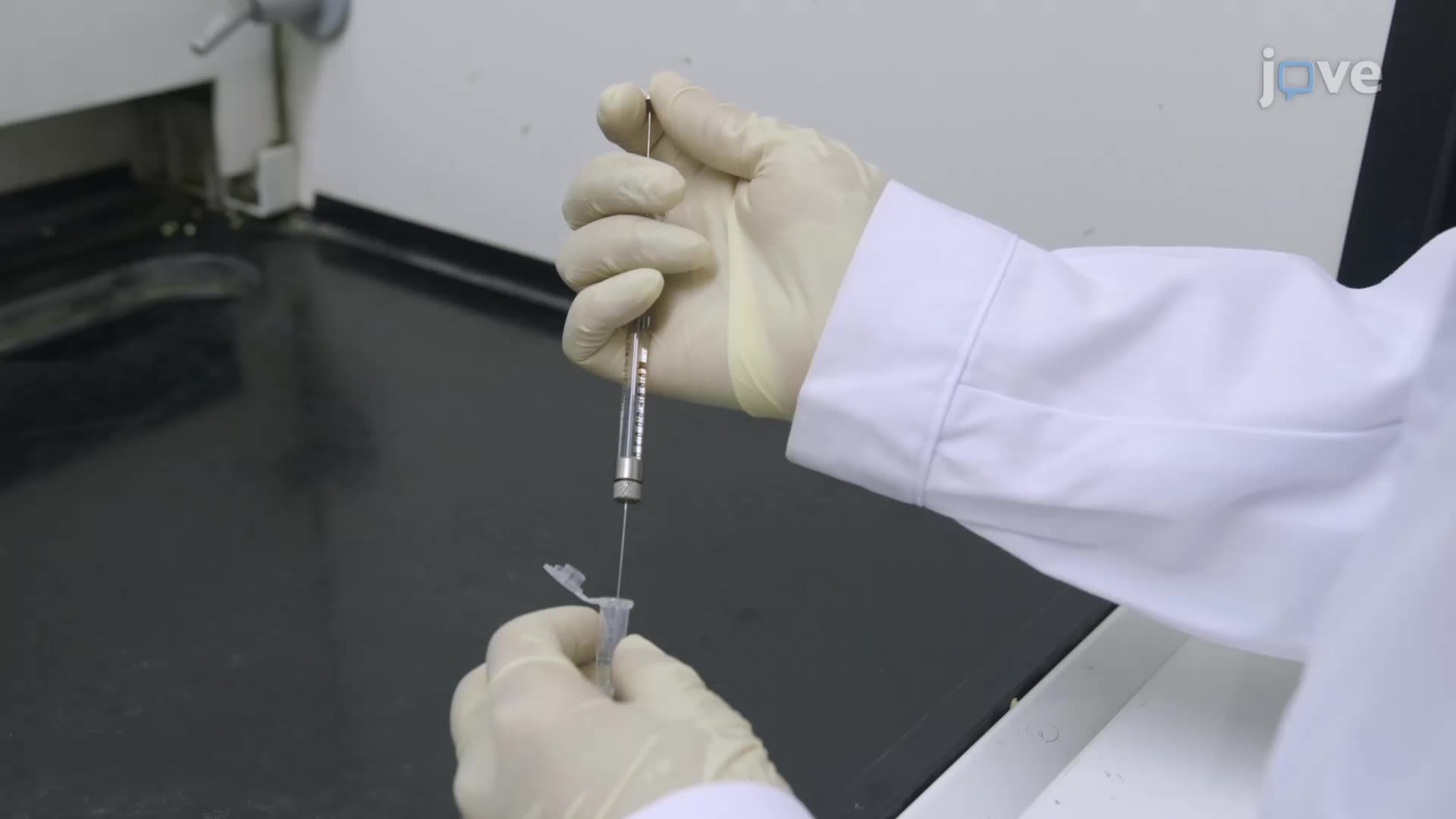 Video: Establishing a Focal Demyelination Mouse Model via a Two-Point ...