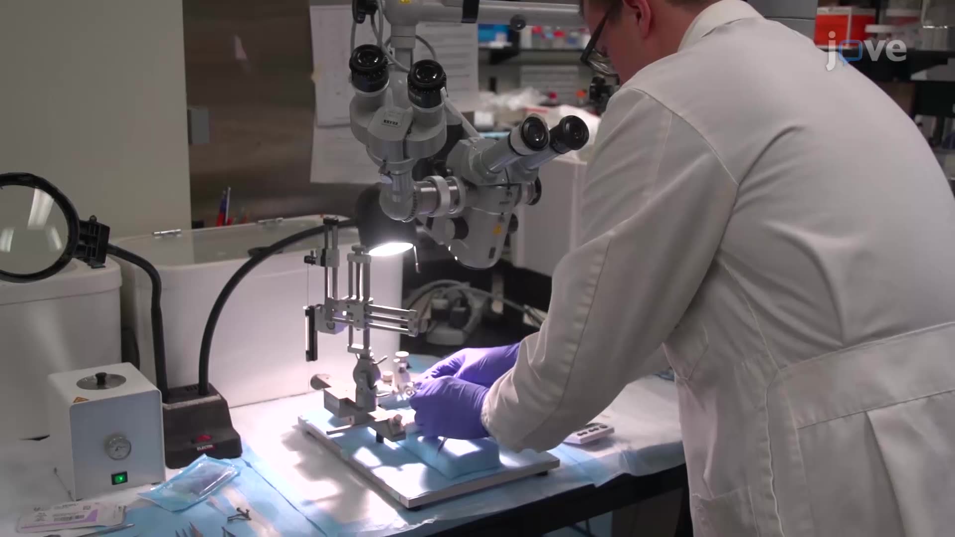 Video: Fare Omurilik Nöronlarının Demiyelinizasyonu ve Remiyelinasyonu ...