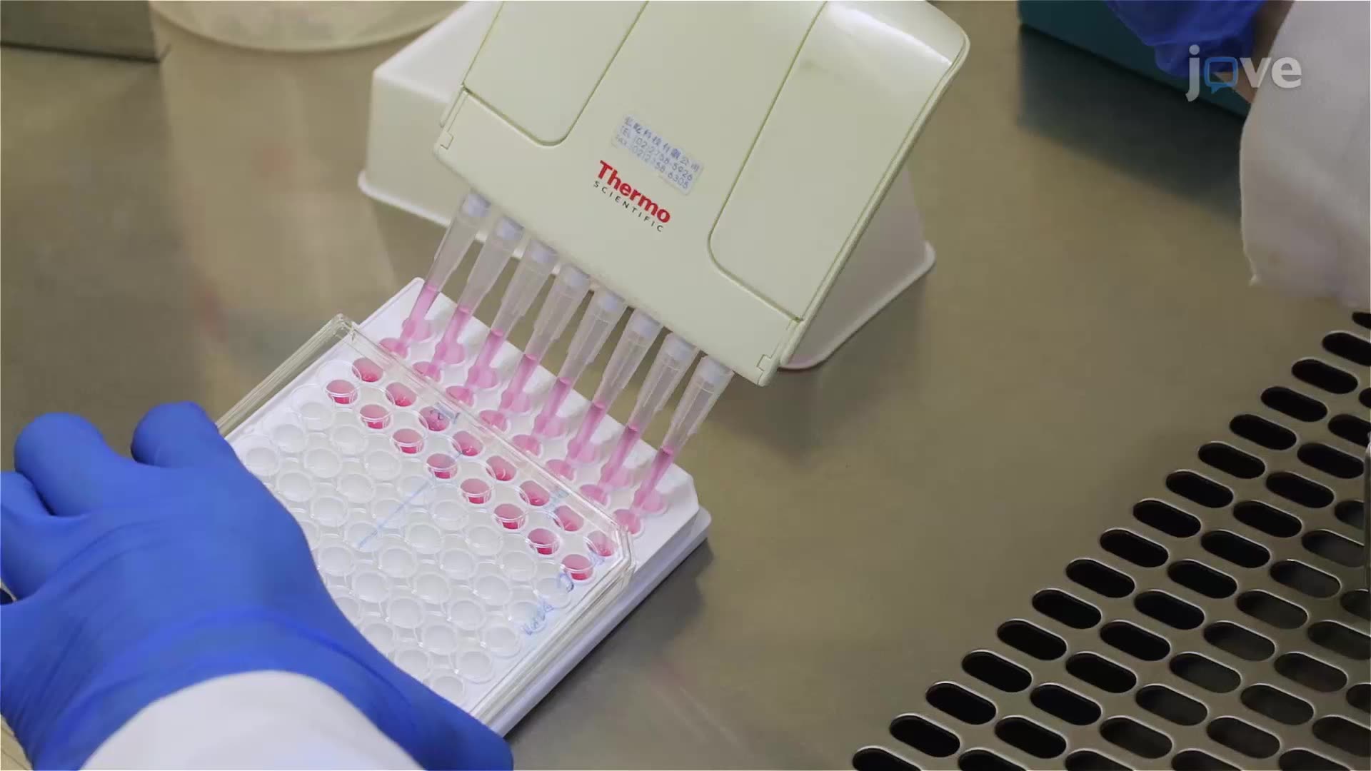 视频: Luciferase Assay for Measuring γ-Secretase Activity in Human Cells - 实验