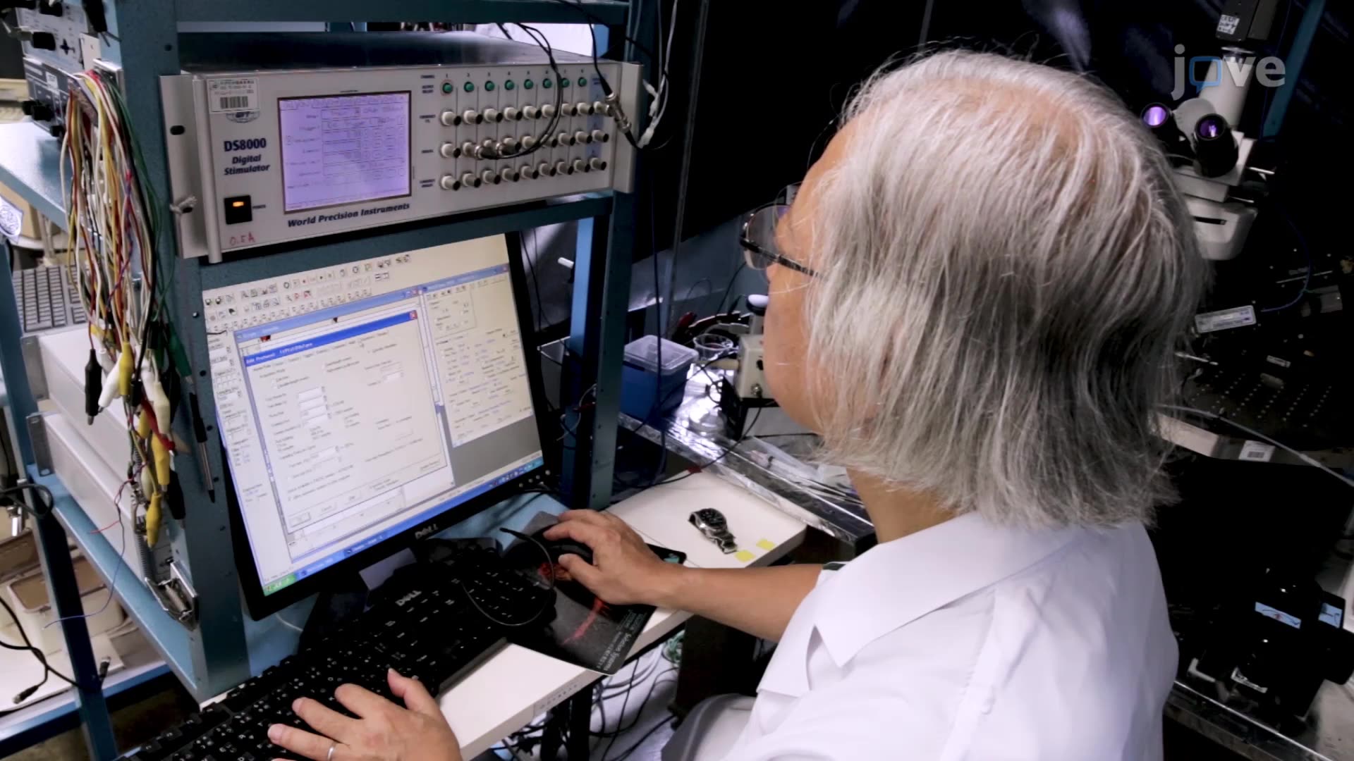 Video: Induction of Long-Term Depression in Cerebellar Purkinje Neurons ...