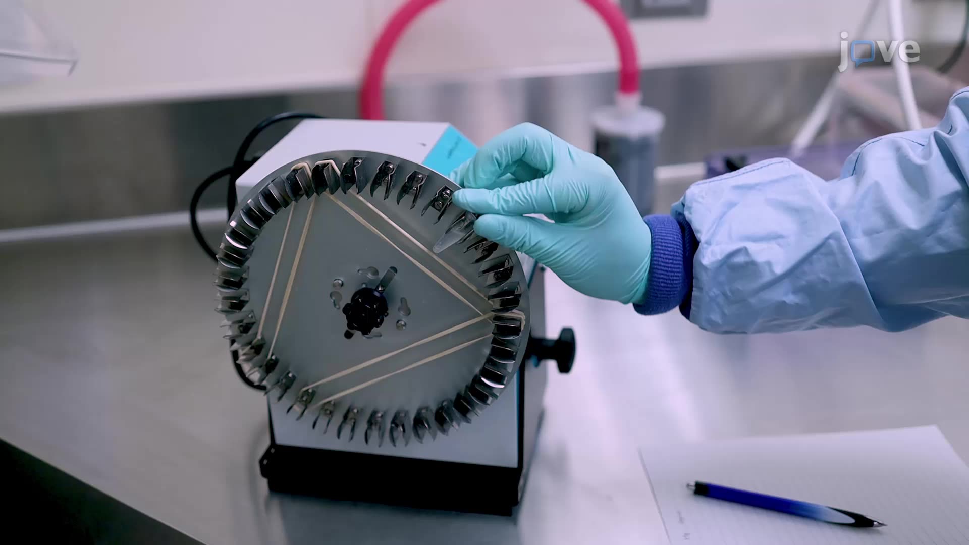 Video: Crosslinking Neuronal Surface Proteins in the Mouse Brain using ...