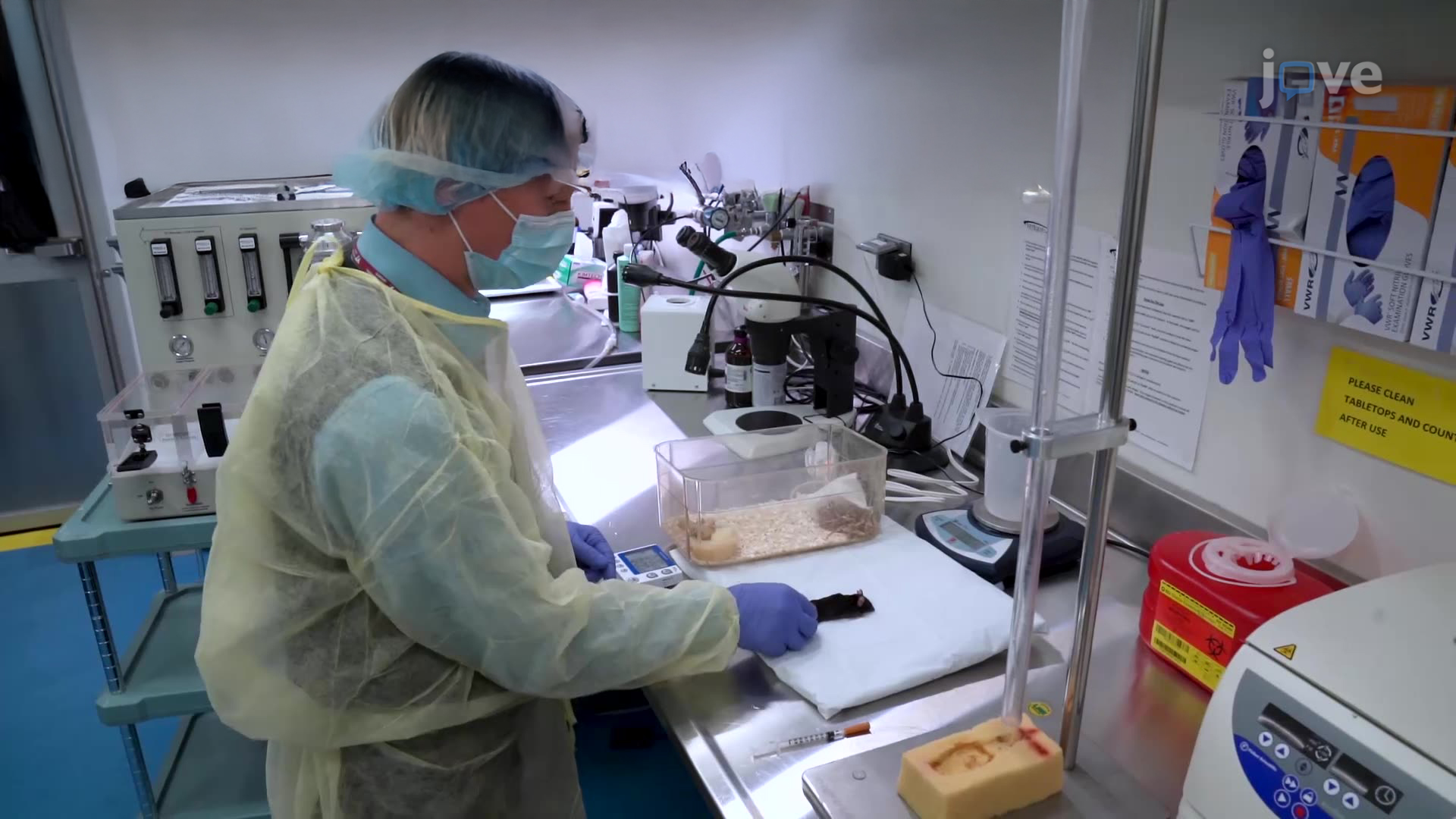 Video: Technique to Induce Post-Traumatic Seizures in a Mouse Model via ...