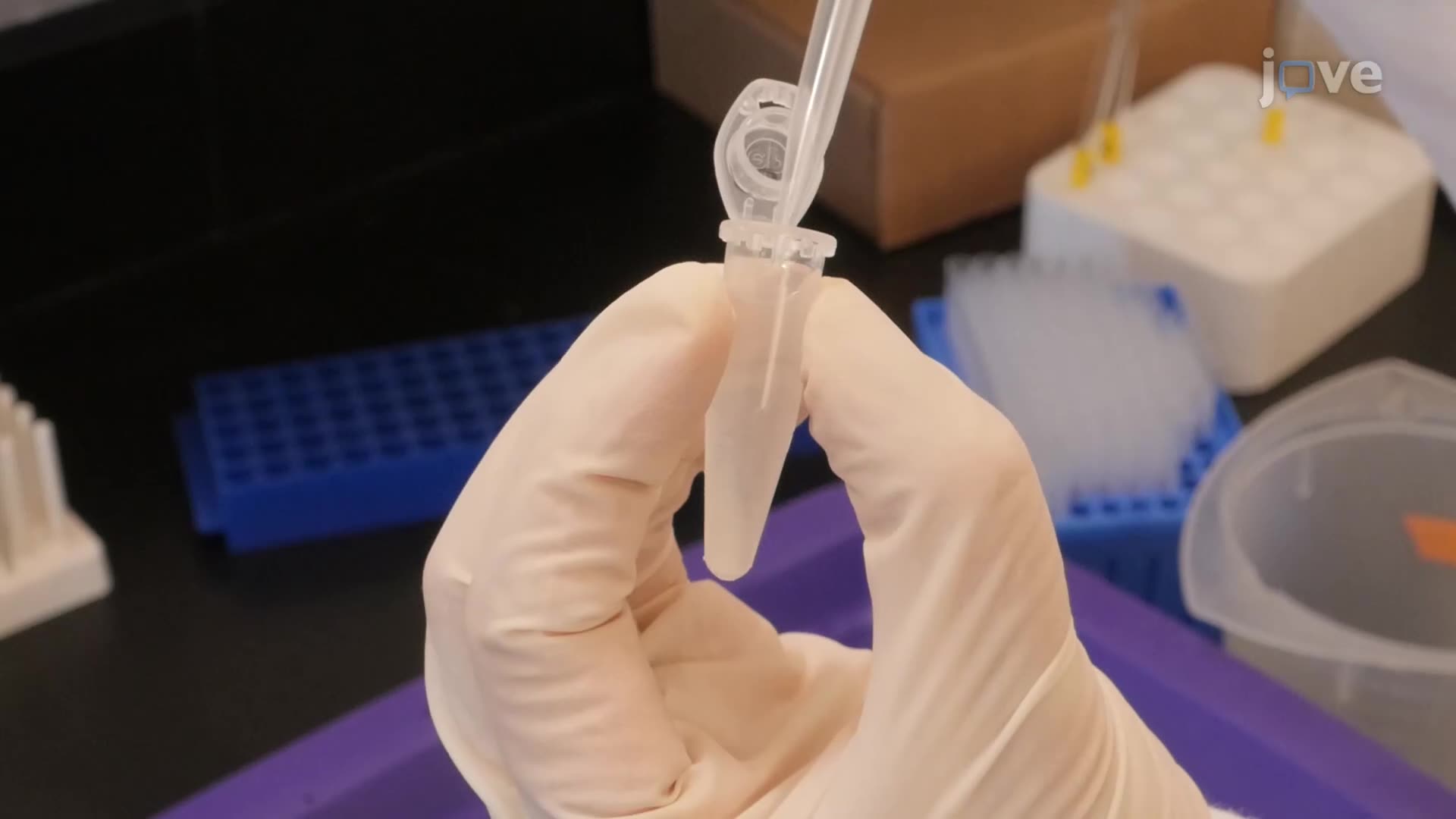 Video: Obtaining a Single-Cell Suspension from Frozen Rat Brain Tissue ...