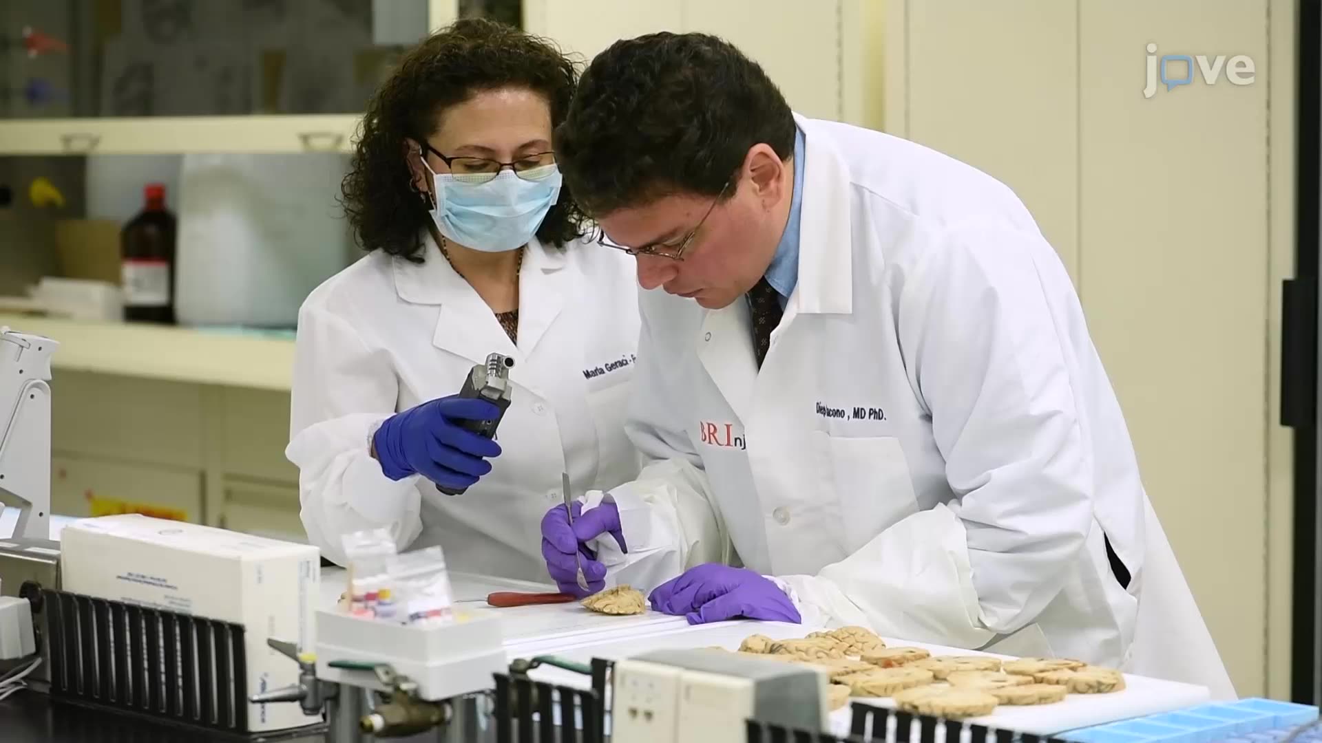 视频: Symmetric Bihemispheric Sectioning of the Human Postmortem Brain - 概念