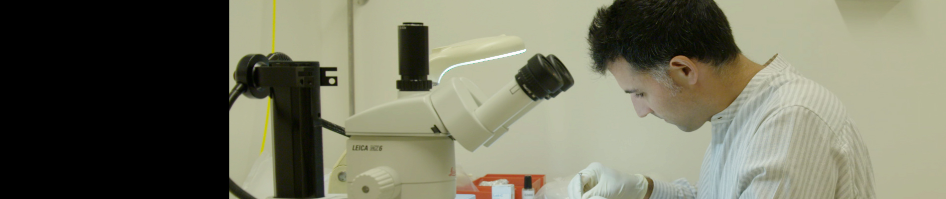Serie: Improved Imaging of DNA Star Motifs by PORT High-Speed Atomic ...