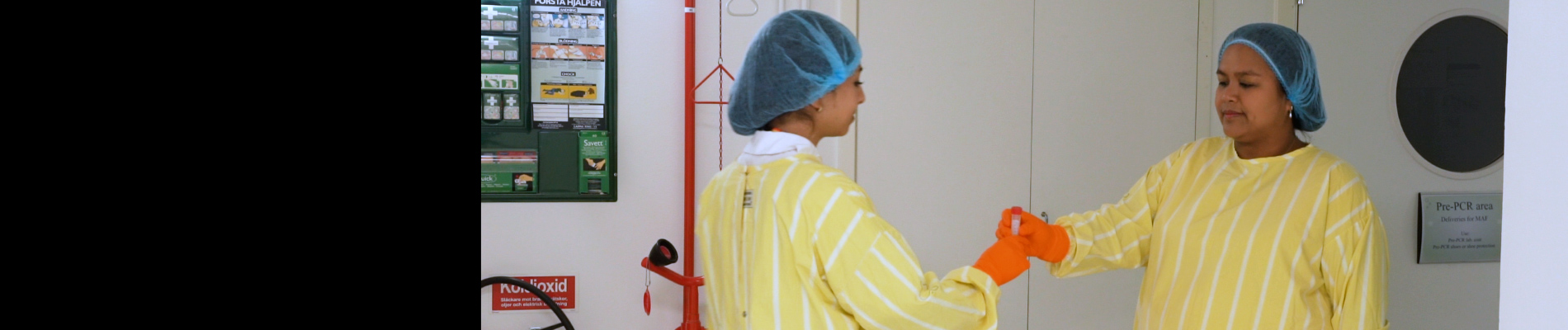 Video: Author Spotlight: Analysis of Ovarian Anatomy in Migratory ...