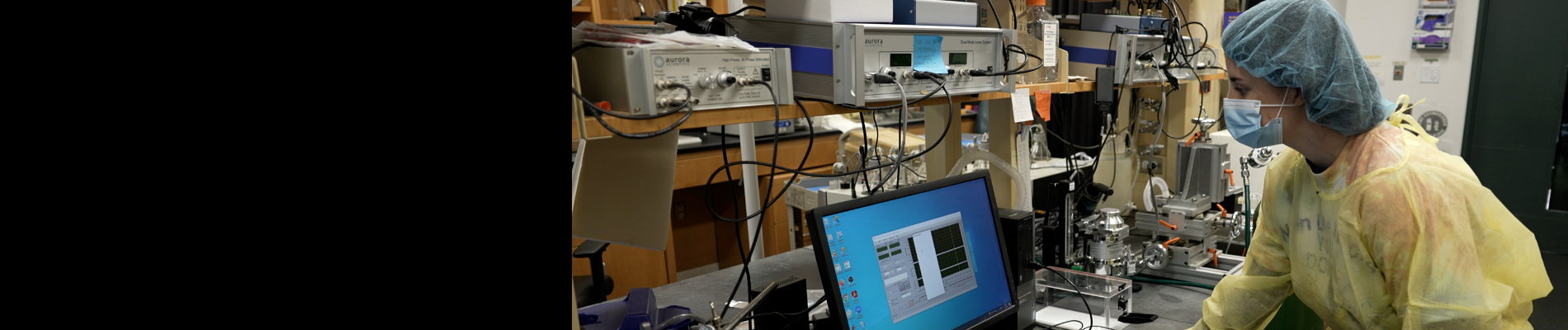 In Vivo Functional Assessment of Rat Masseter Muscle Following Surgical ...