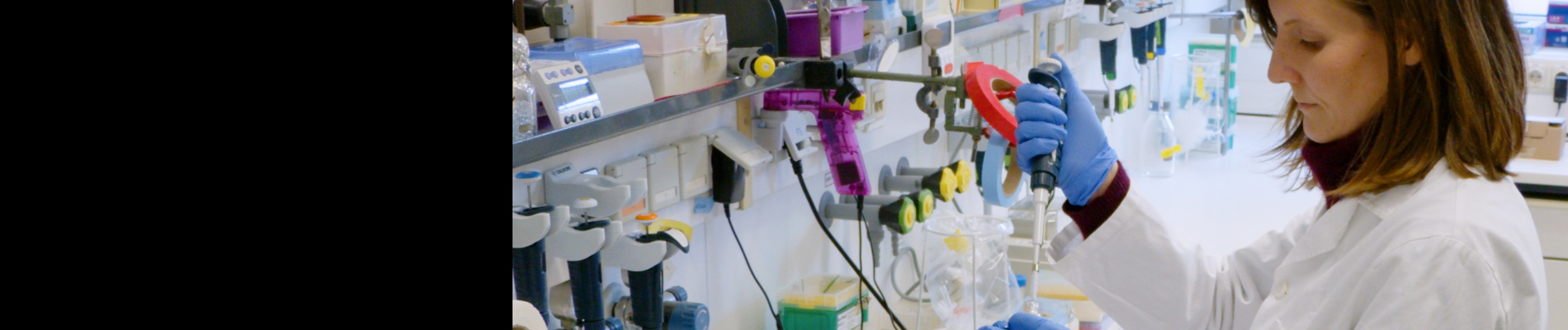 Protein Engineering by Yeast Surface Display – JoVE