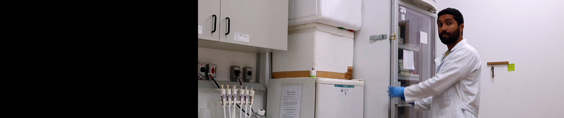 Assessing Protein Interaction and Localization in DNA Damage