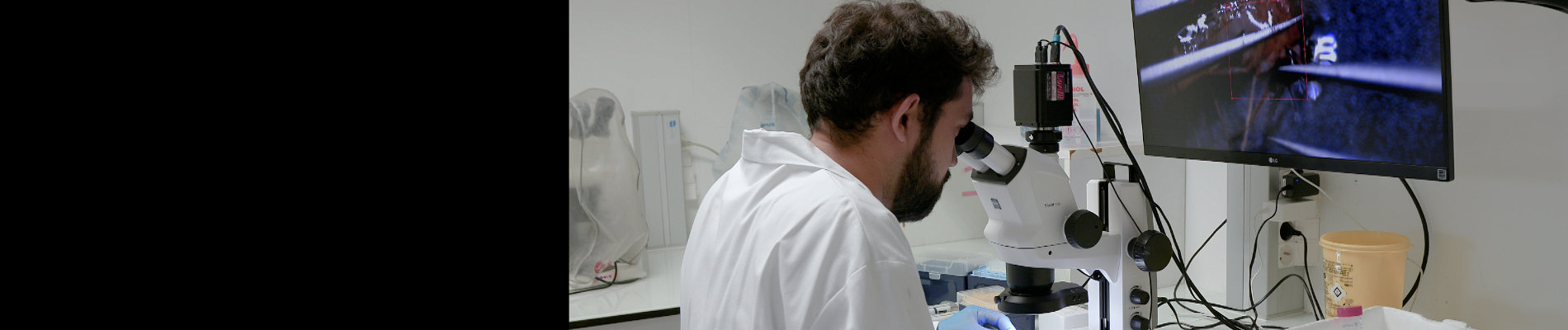 Video: Author Spotlight: Dissection and Isolation of Region-Specific ...