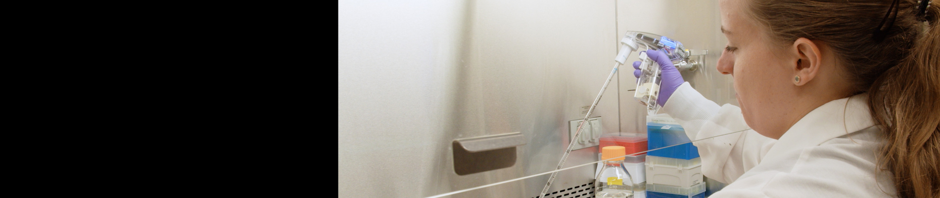 Production of Nanofibrillar Patterned Collagen for Tissue Engineering ...