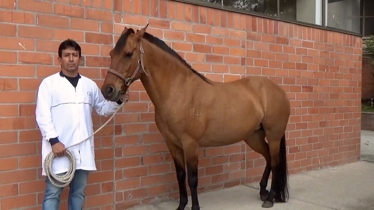 JoVE Journal: Multimedia Article Guides | JoVE