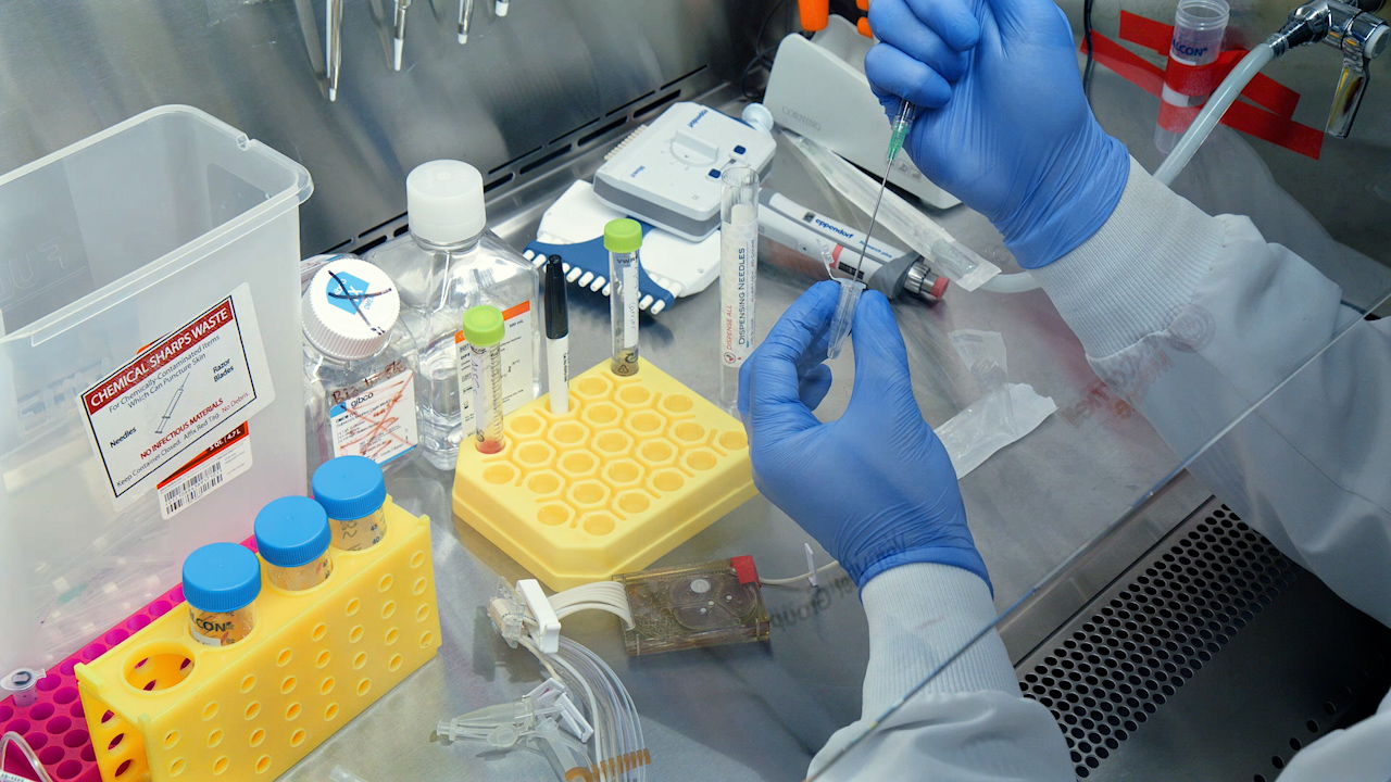 Vidéo: Microbioreactor-Based Production of Anchorage-Dependent ...