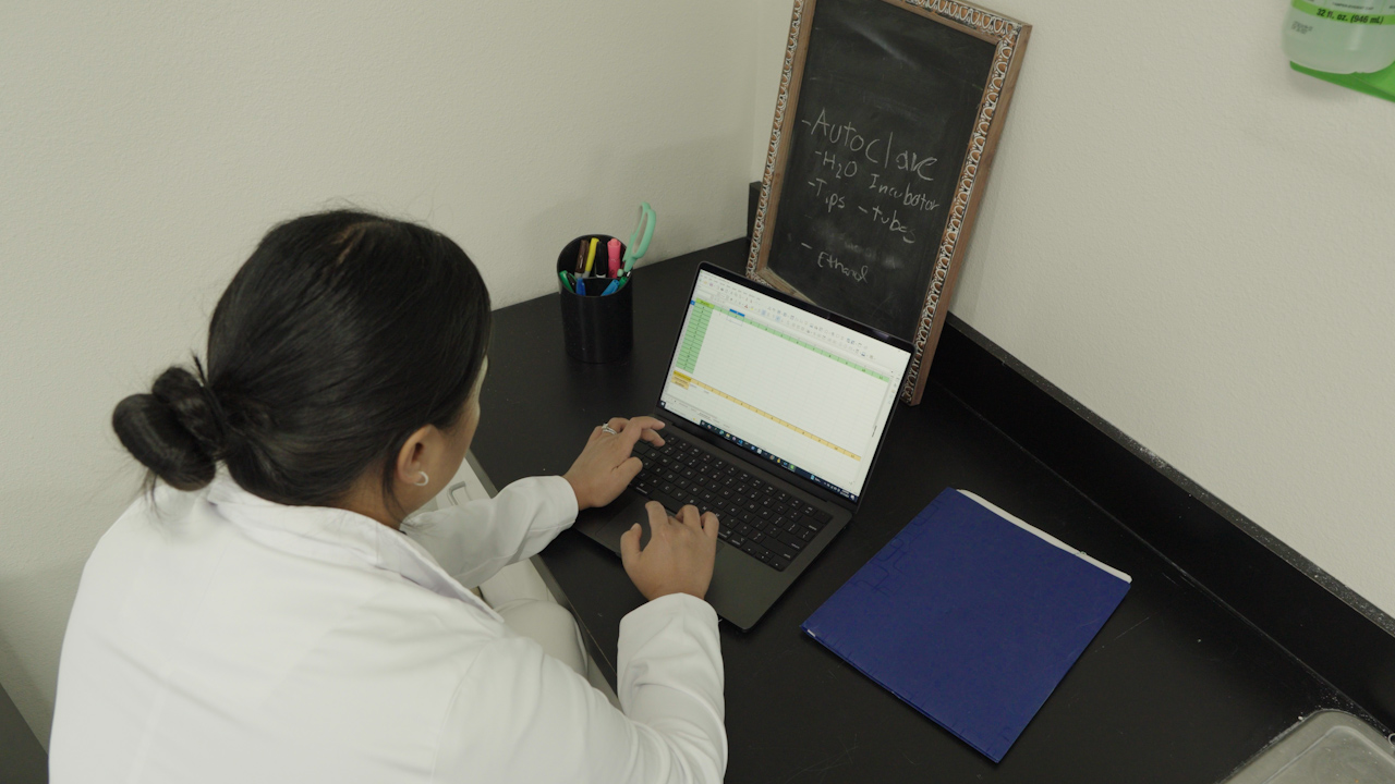 Messung der Einzelzellalterung mit einem bildgebenden Biomarker von ...