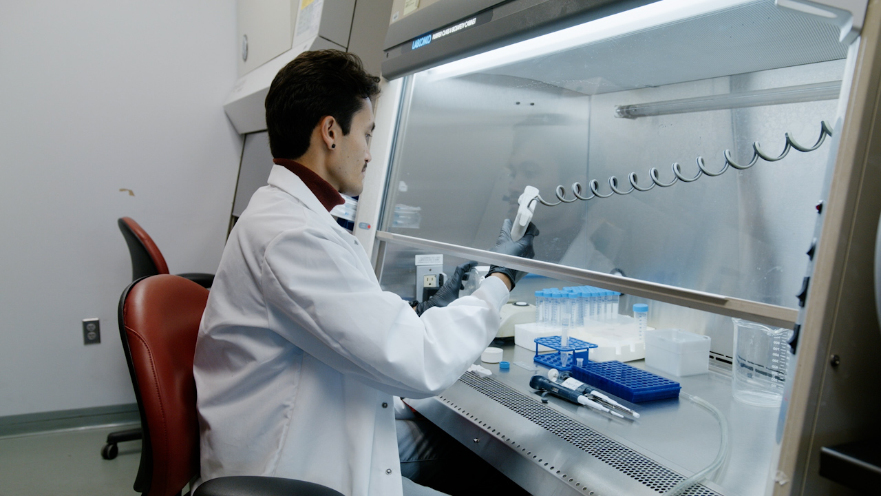 Video: Automatyczne przygotowanie próbki do multipleksowanej analizy ...