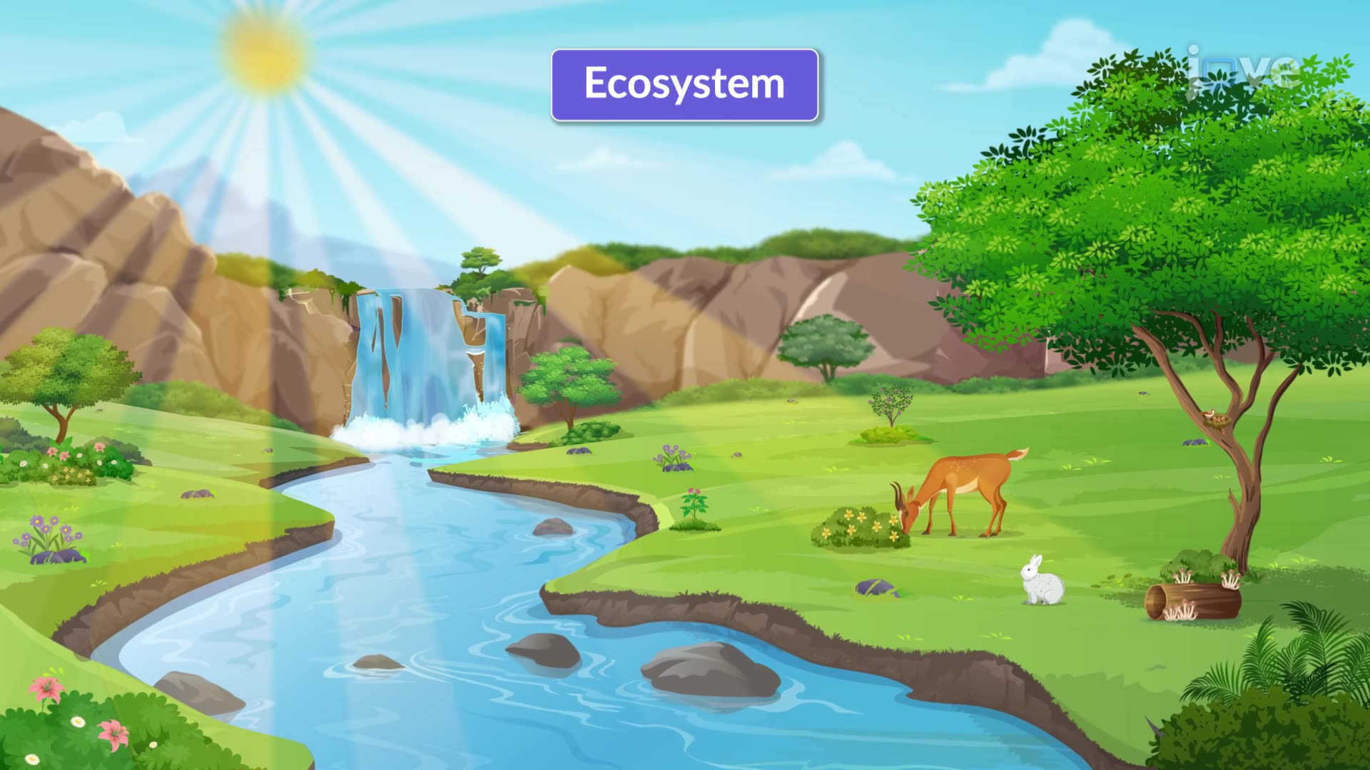 Abiotic and Biotic Factors - Ecosystems: Interactions, Energy, and ...