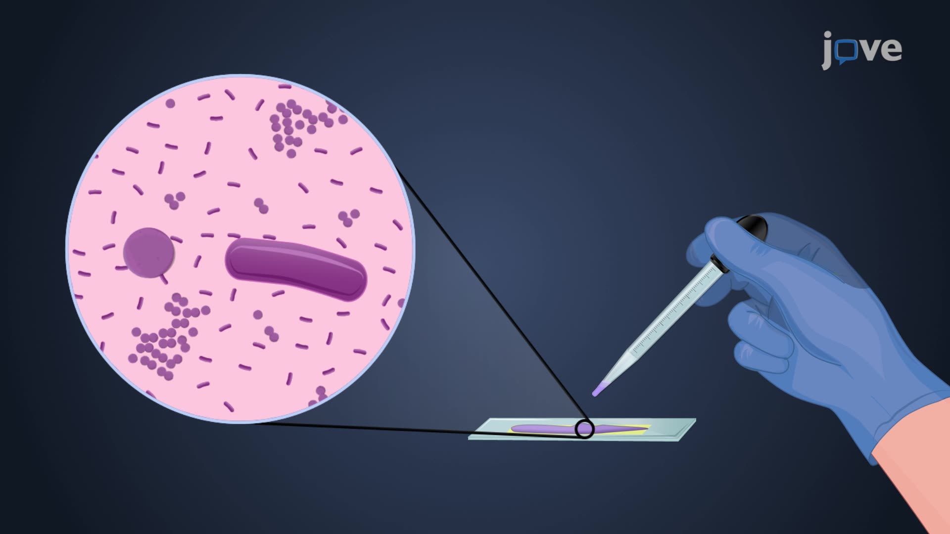 Video: Simple Staining Technique