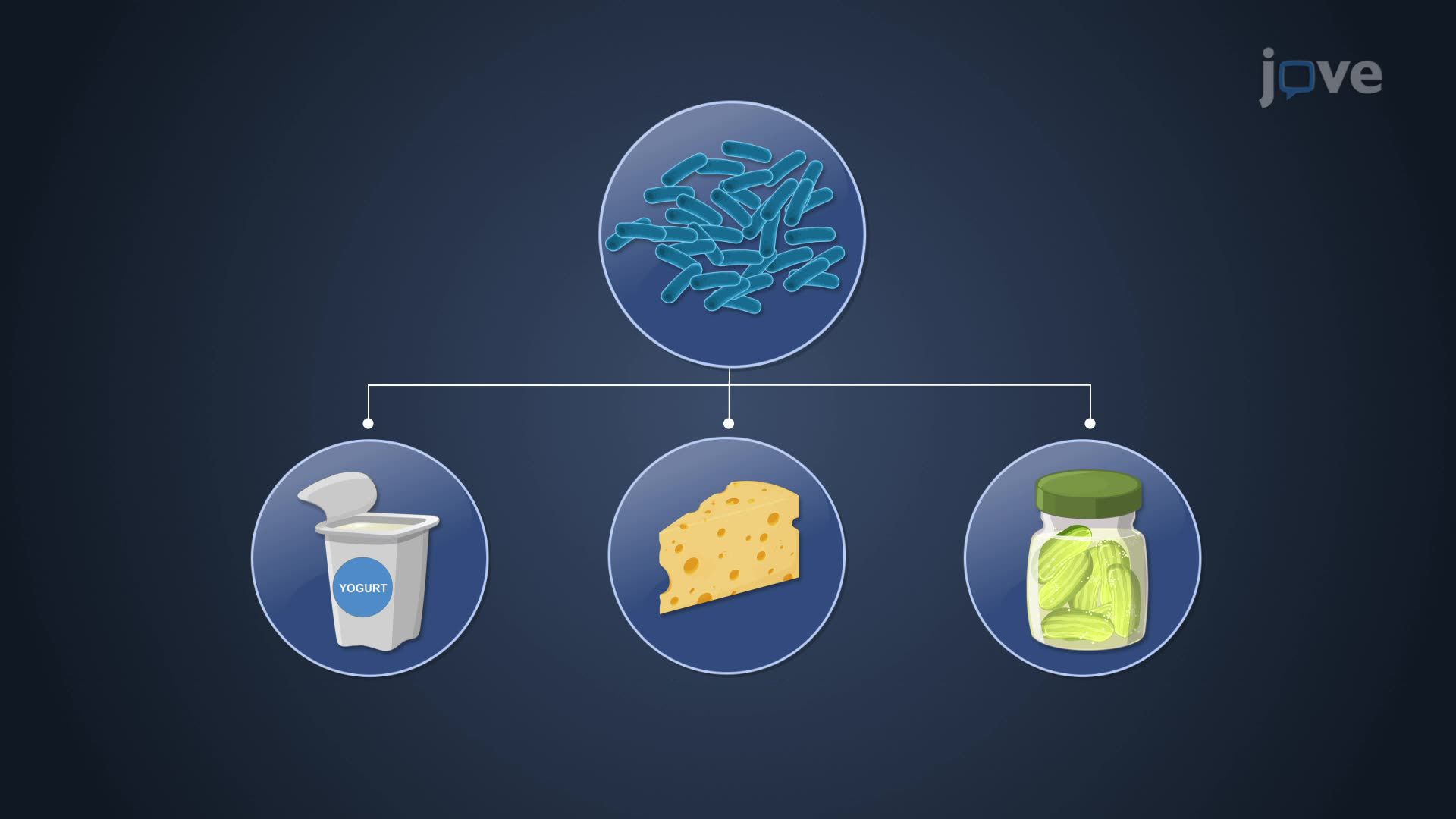 Video: Microorganisms in Agriculture and Food industry