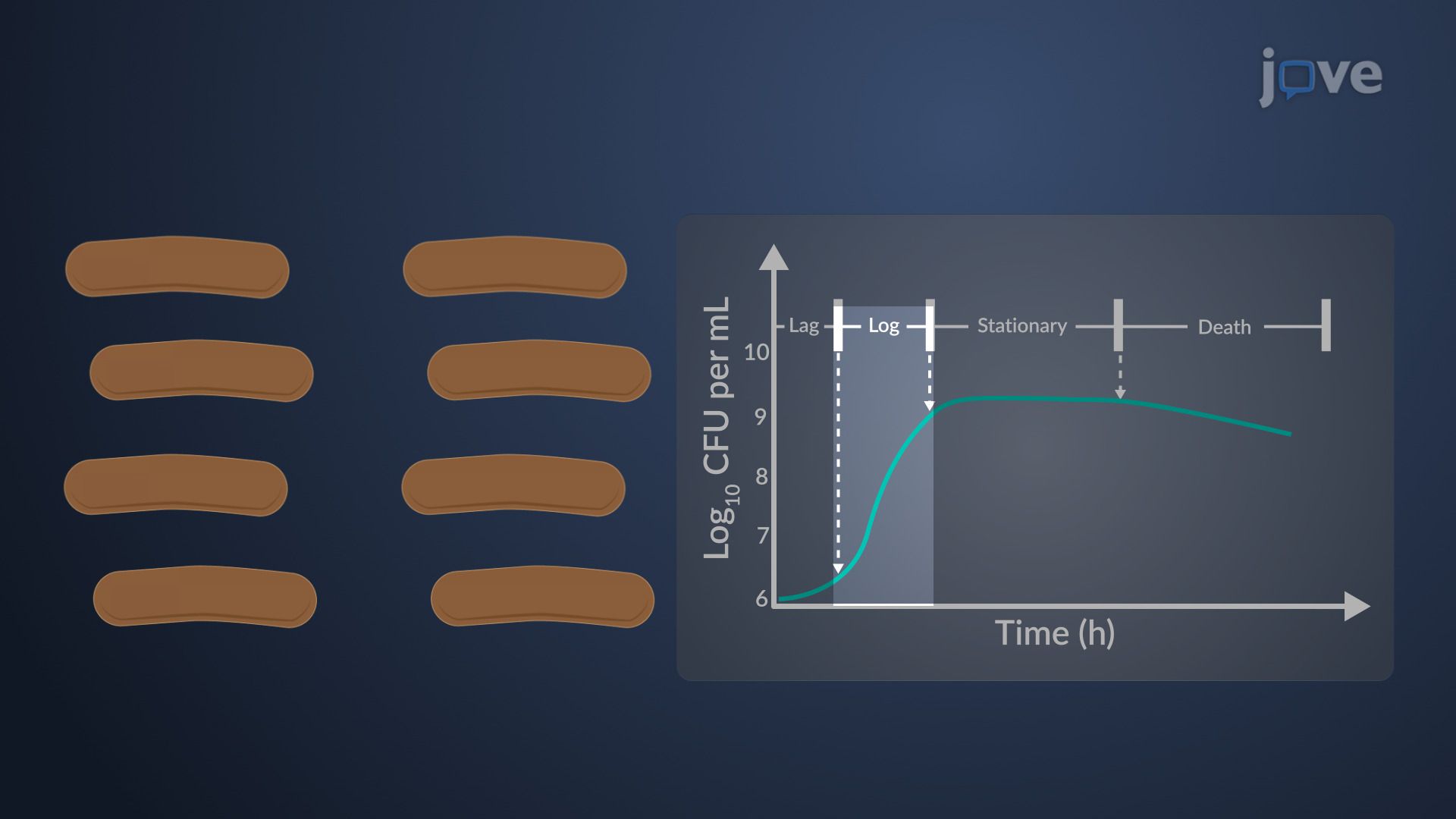 Video: Generation Time