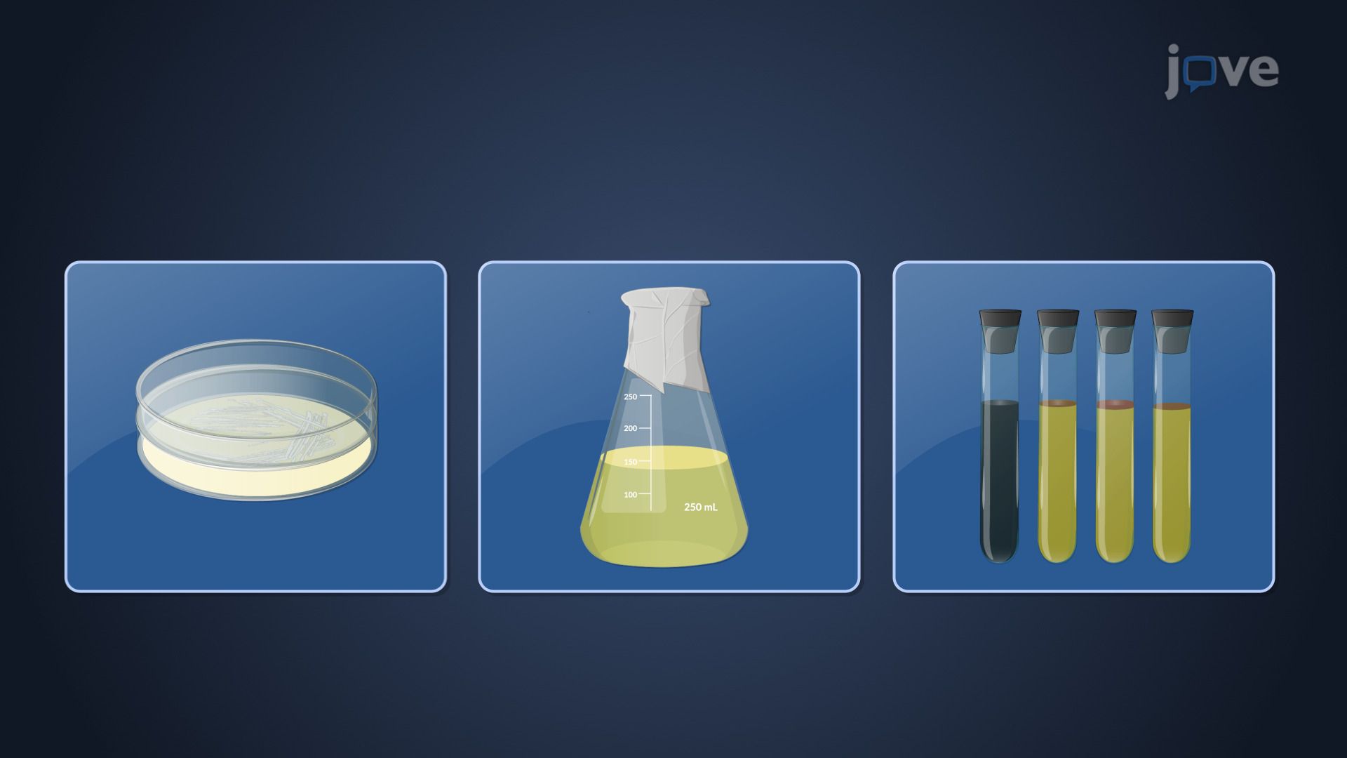 Video: Microbial Growth Media