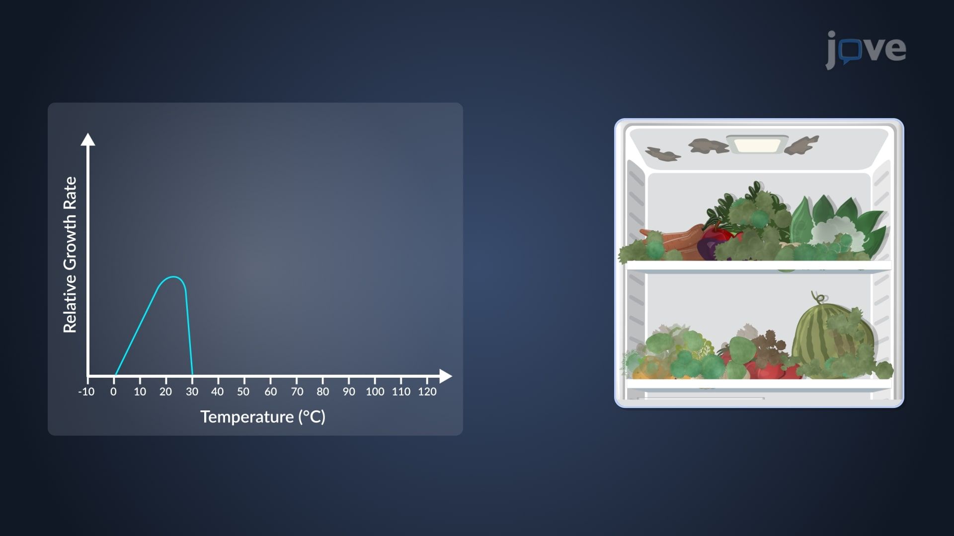 Video: Factors Influencing Microbial Growth: Temperature