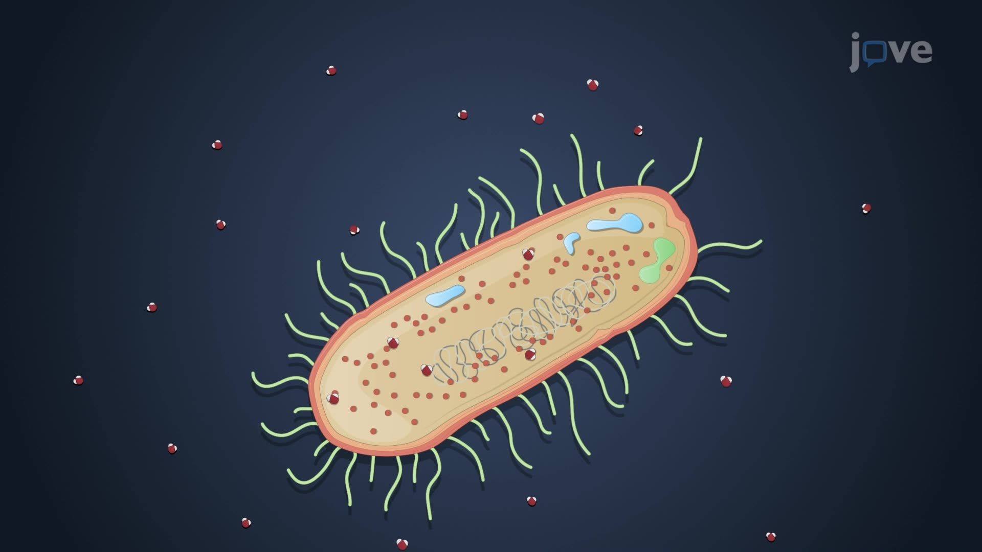 Video: Factores que influyen en el crecimiento microbiano: Osmolaridad