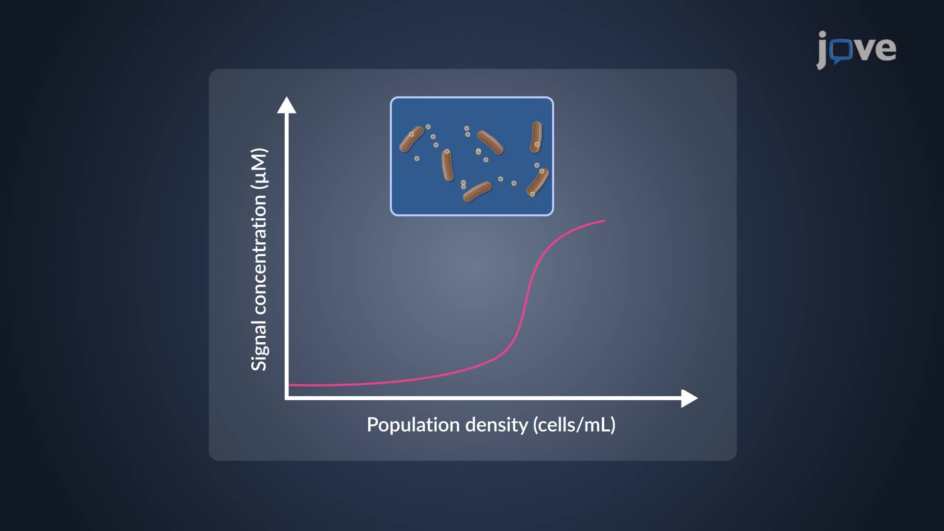 视频: Gene Regulation in Microbial Communities: Quorum Sensing
