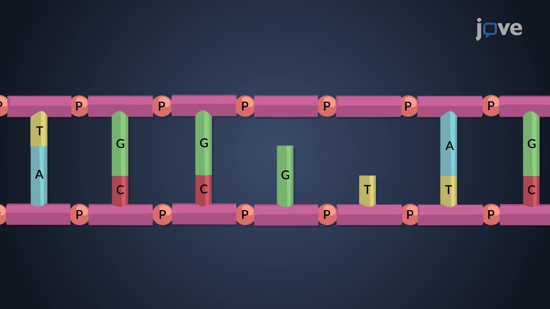 Video: Spontaneous and Induced Mutations